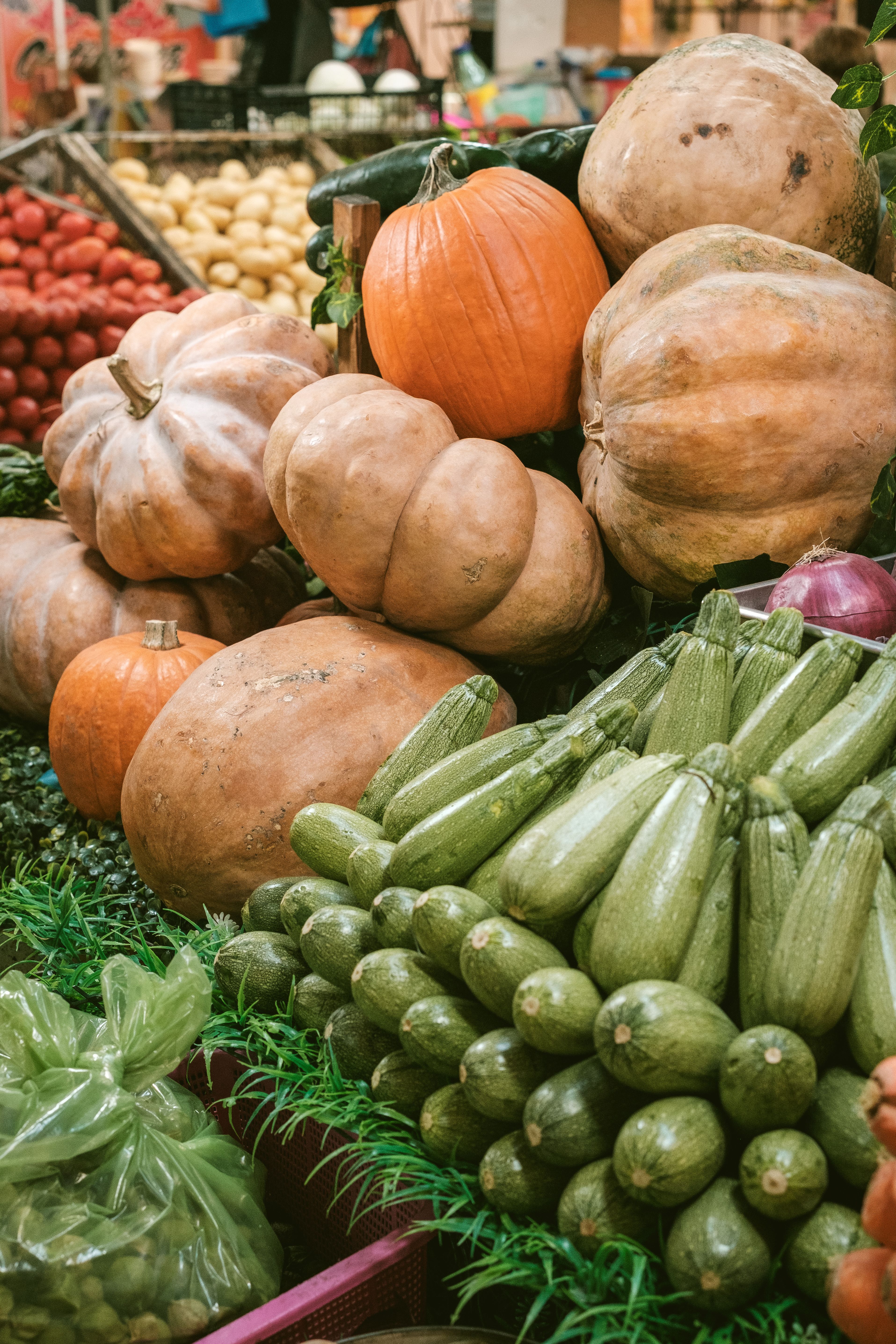 Vibrant Market Display of Pumpkins and Zucchinis · Free Stock Photo