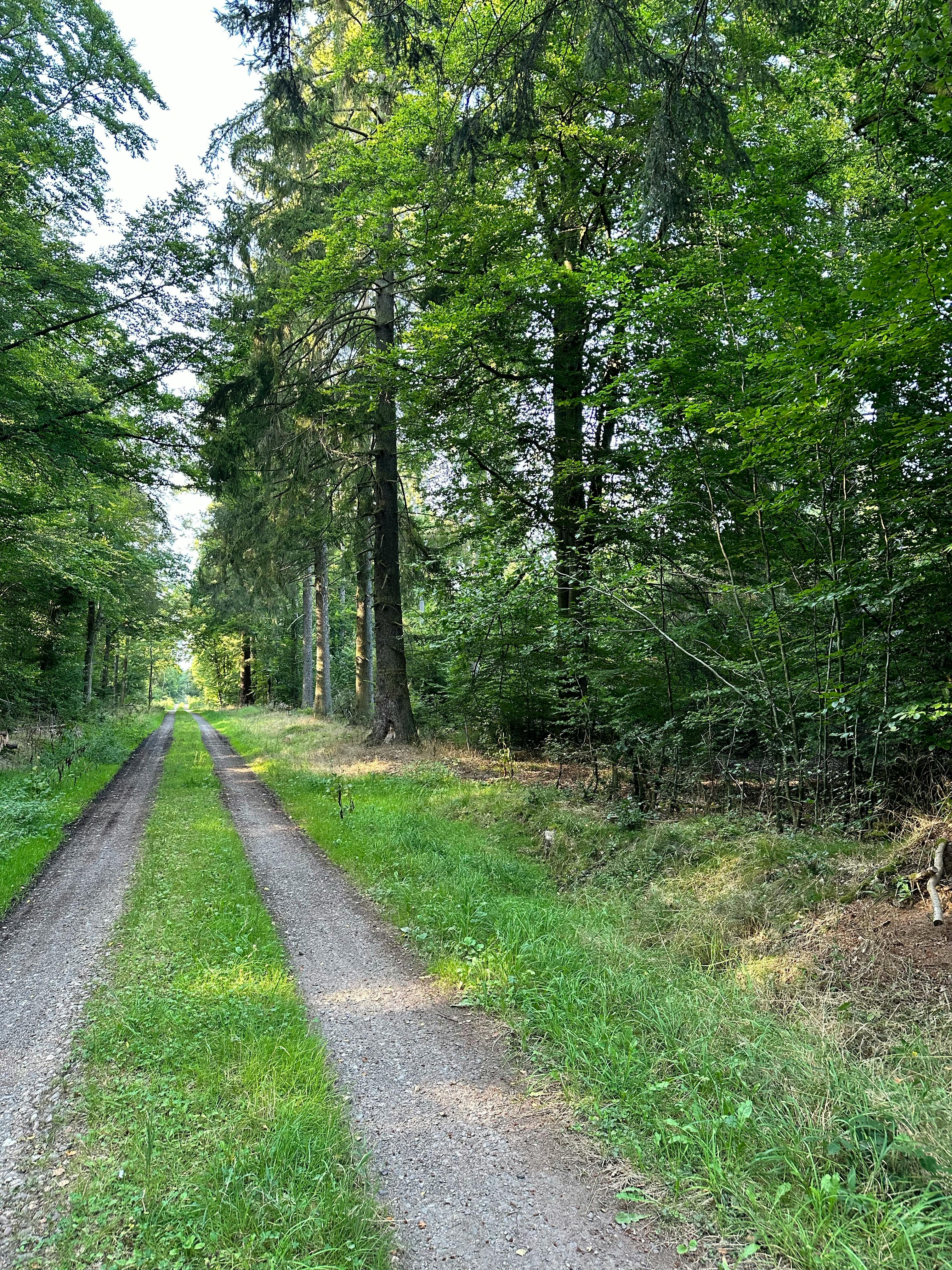 taha yasin - Fotografía