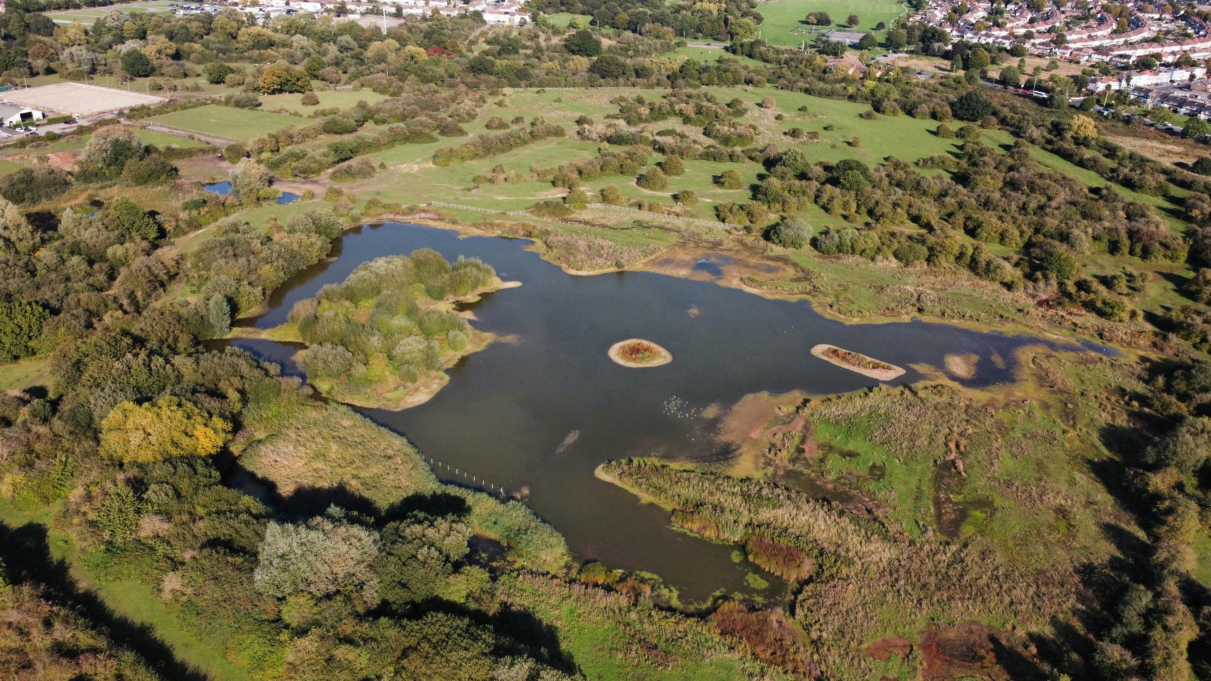 Habitat Near Wetlands Photos, Download The BEST Free Habitat Near ...