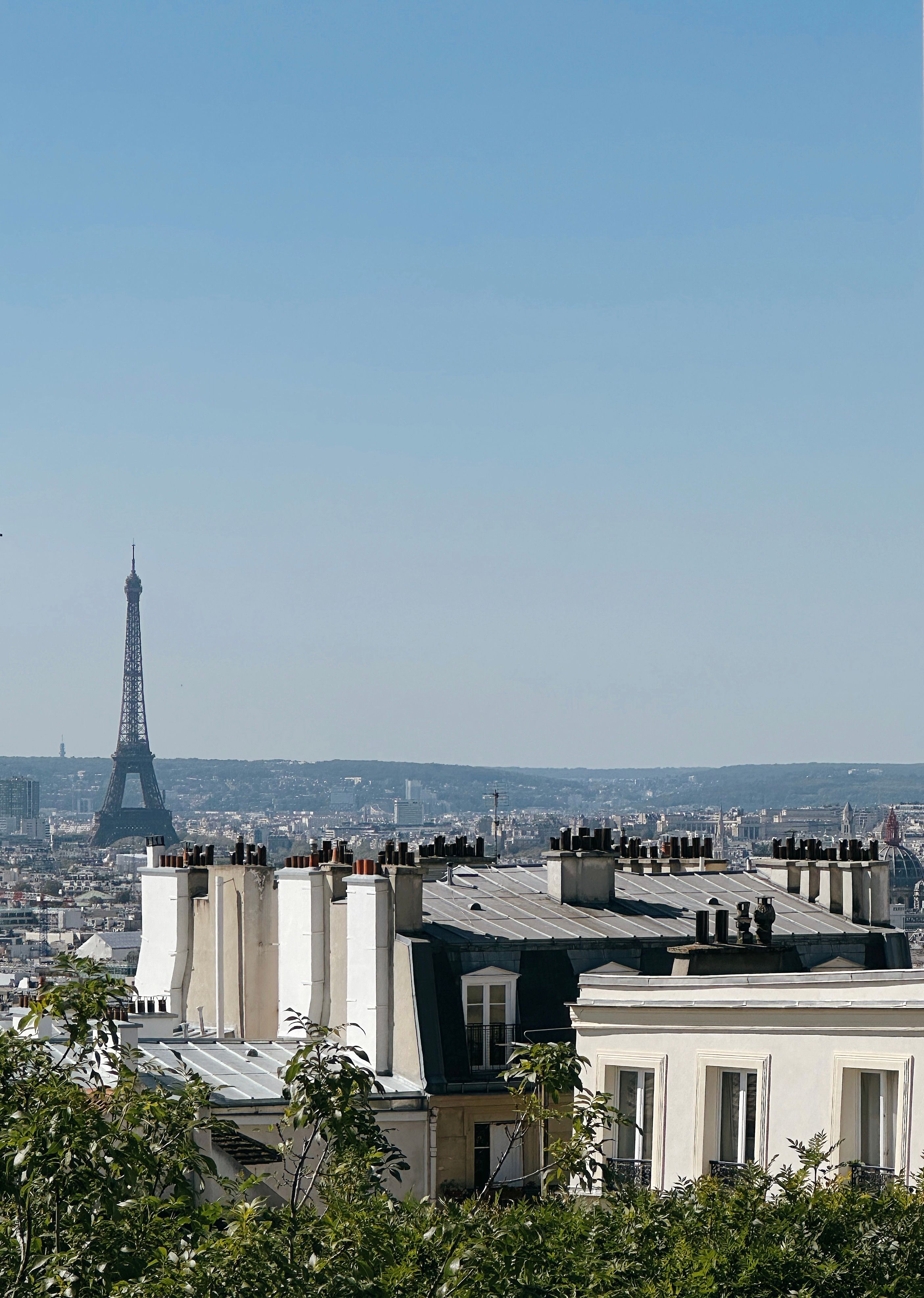 Vue Panoramique Sur Les Toits De Paris Et La Tour Eiffel · Photo gratuite