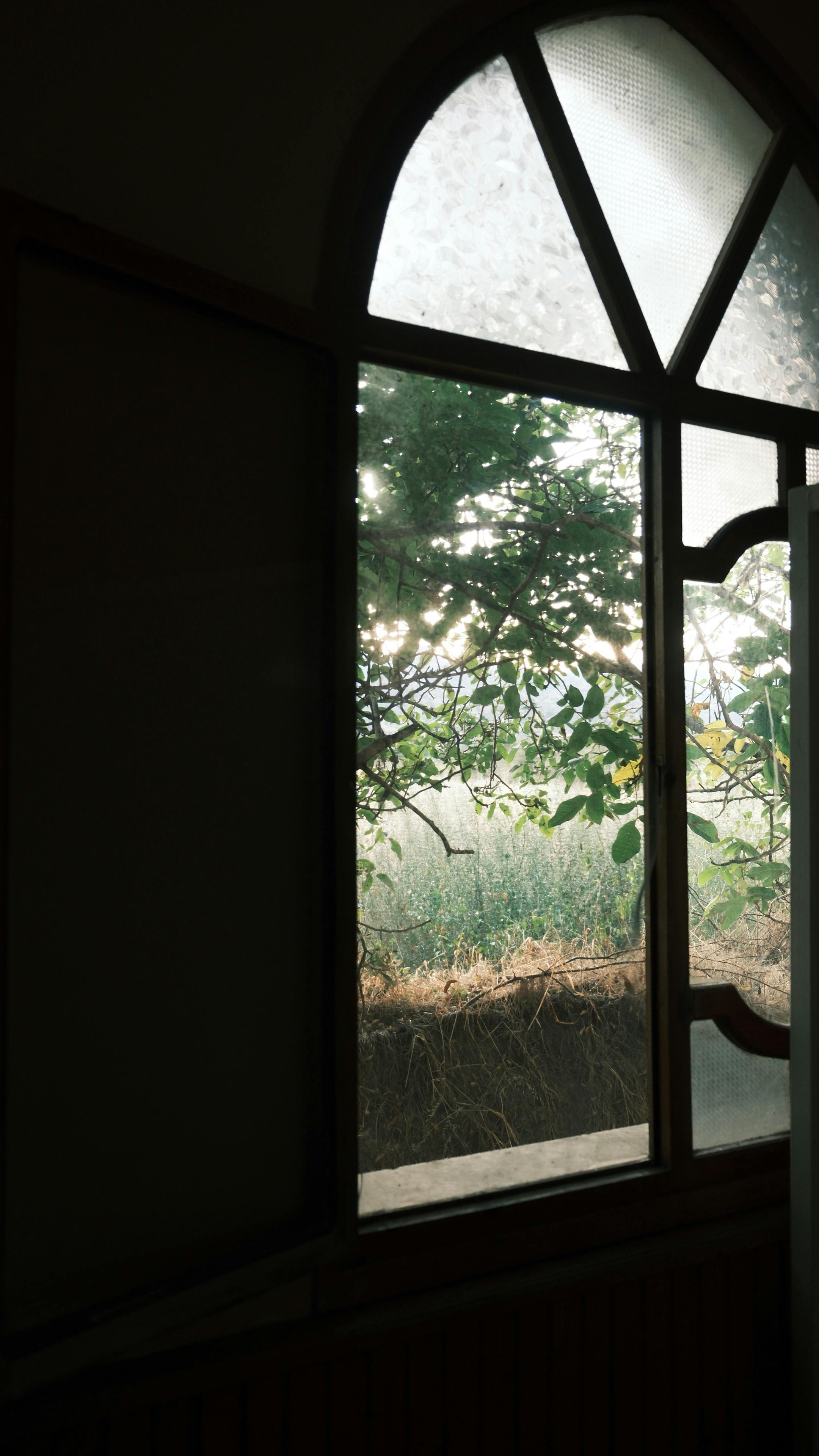 Inside Dustbin Photos, Download The BEST Free Inside Dustbin Stock ...