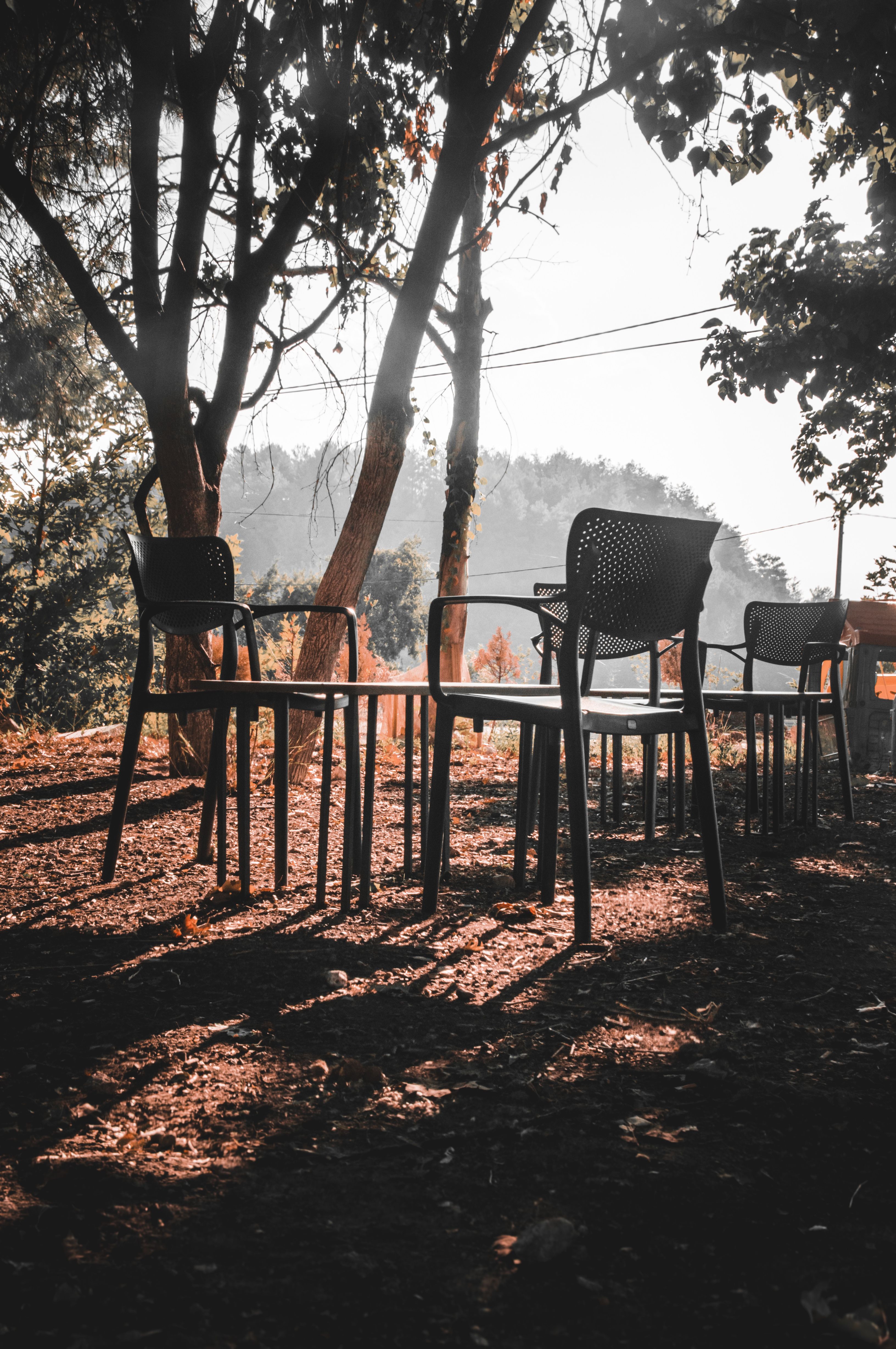 Serene Outdoor Seating Under Trees in Autumn · Free Stock Photo