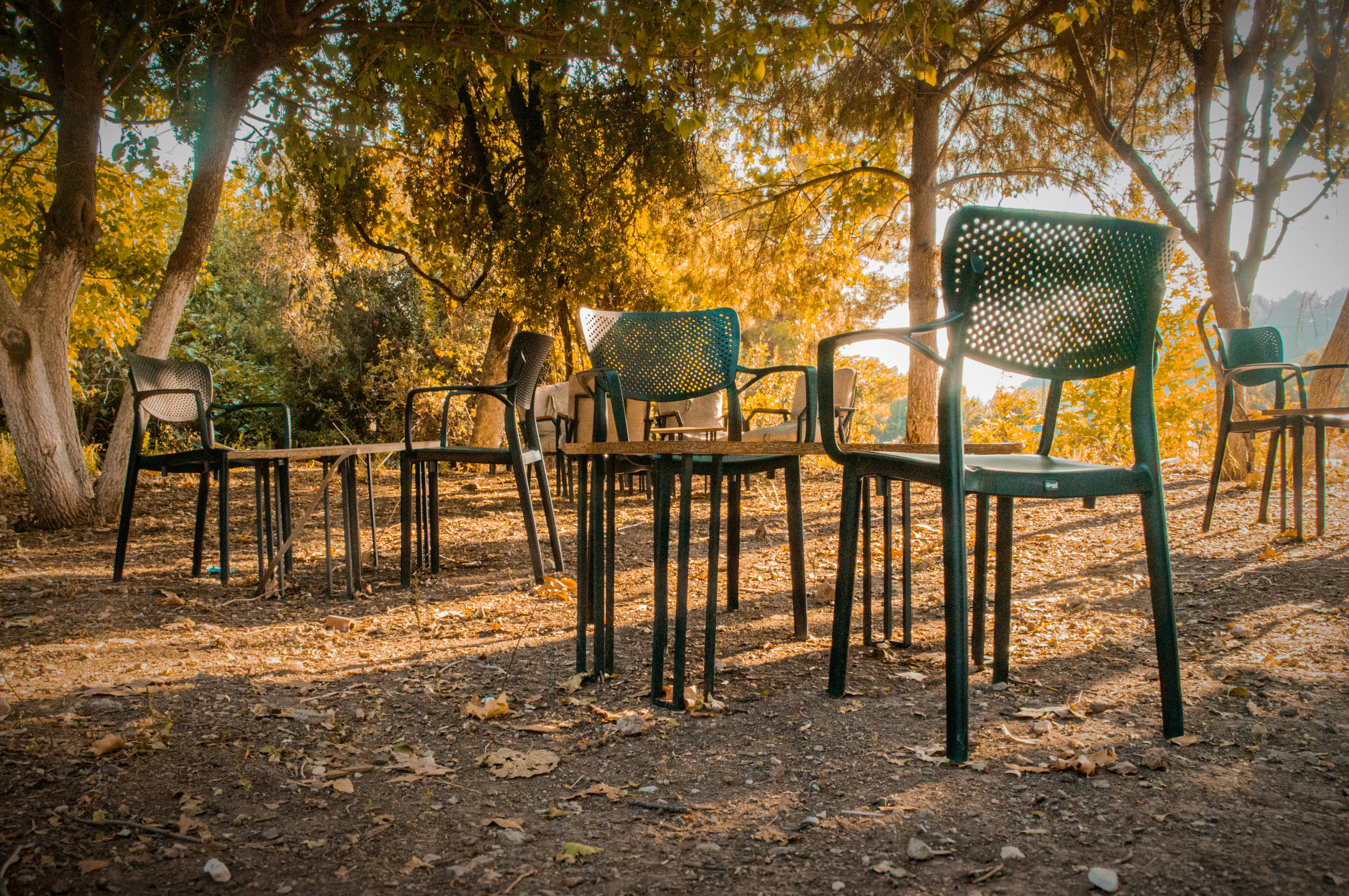 Empty Outdoor Chairs in Sunlit Autumn Park · Free Stock Photo