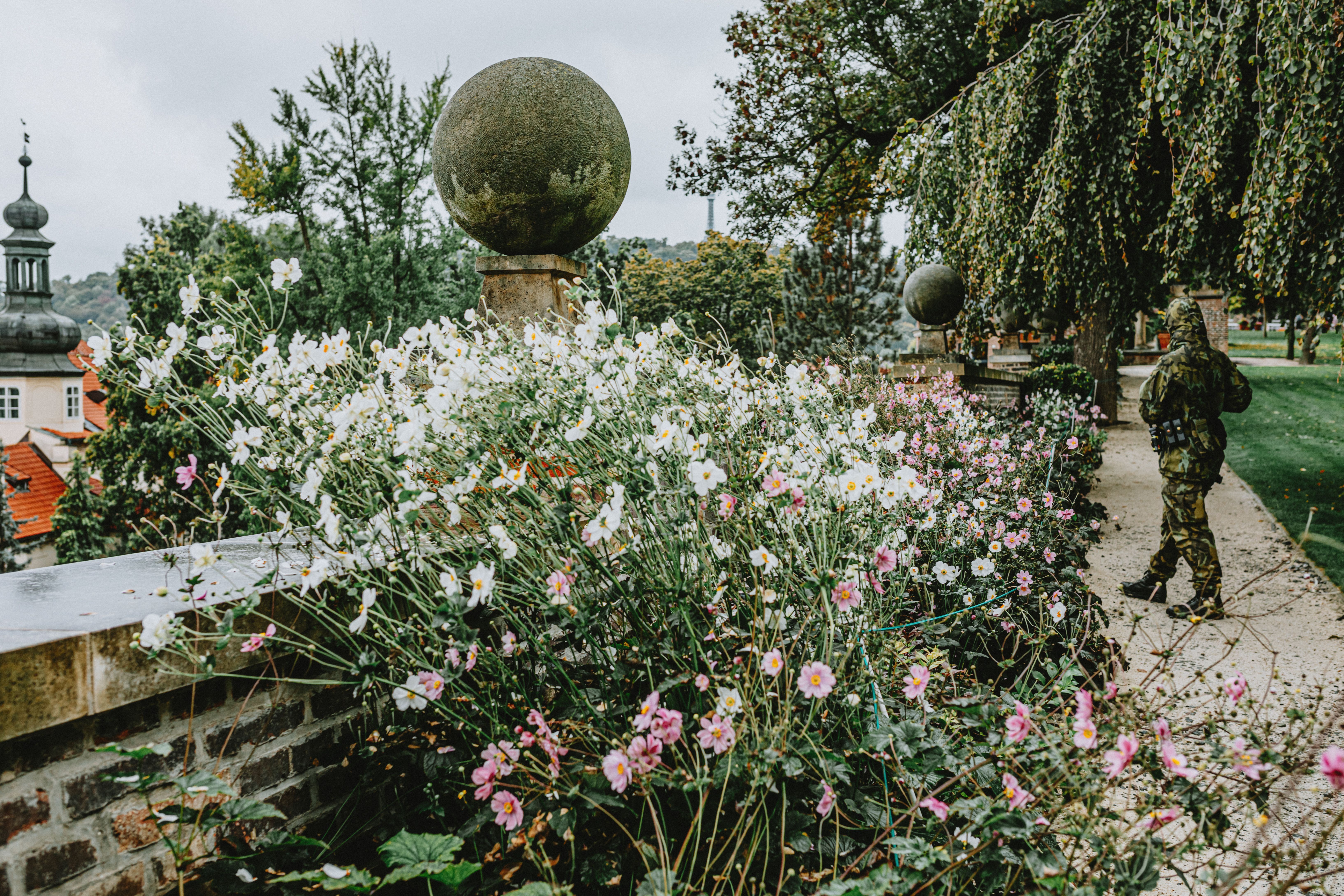 Garden Pathway with Soldier and Blooming Flowers · Free Stock Photo