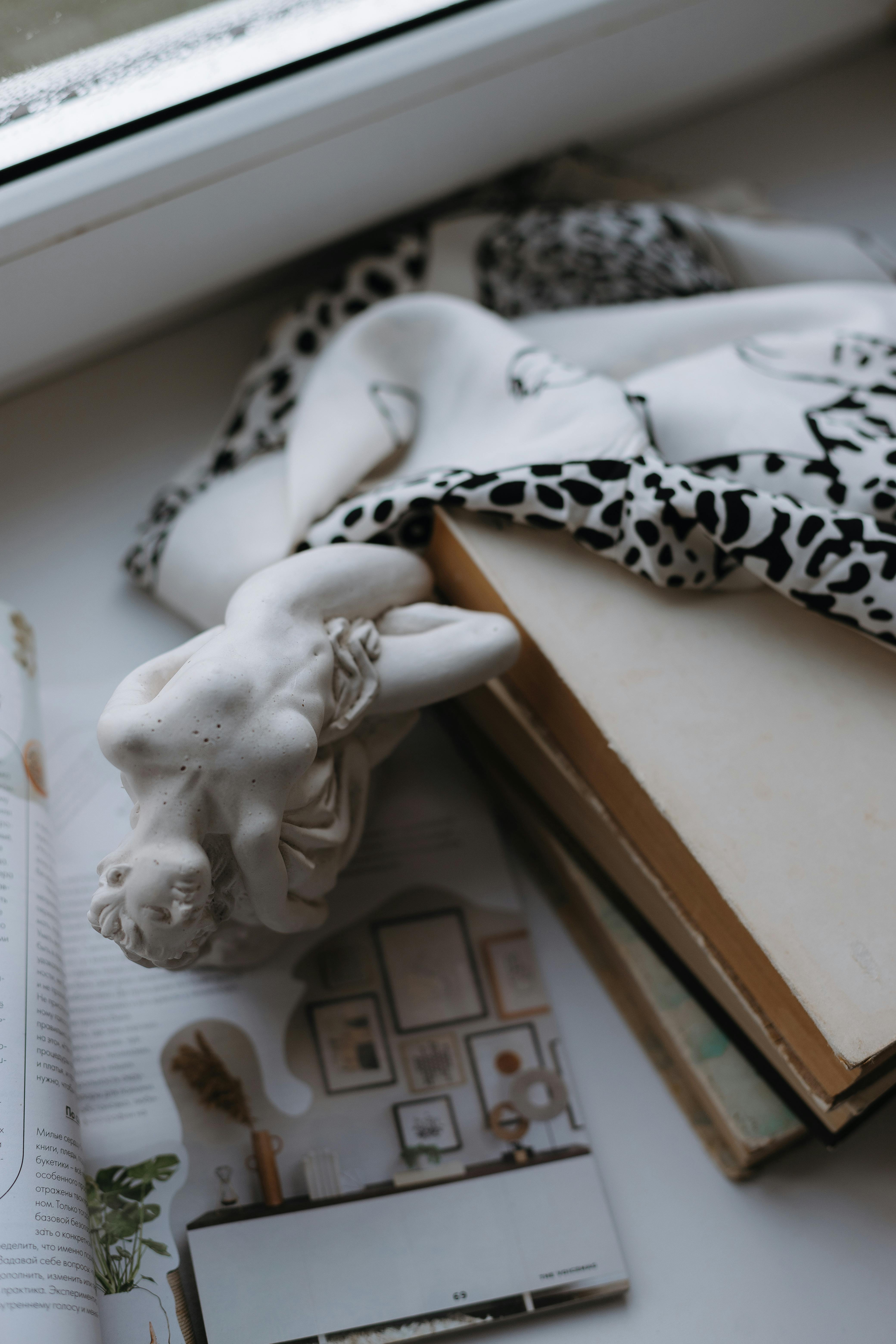 Artistic Still Life with Statue and Books · Free Stock Photo