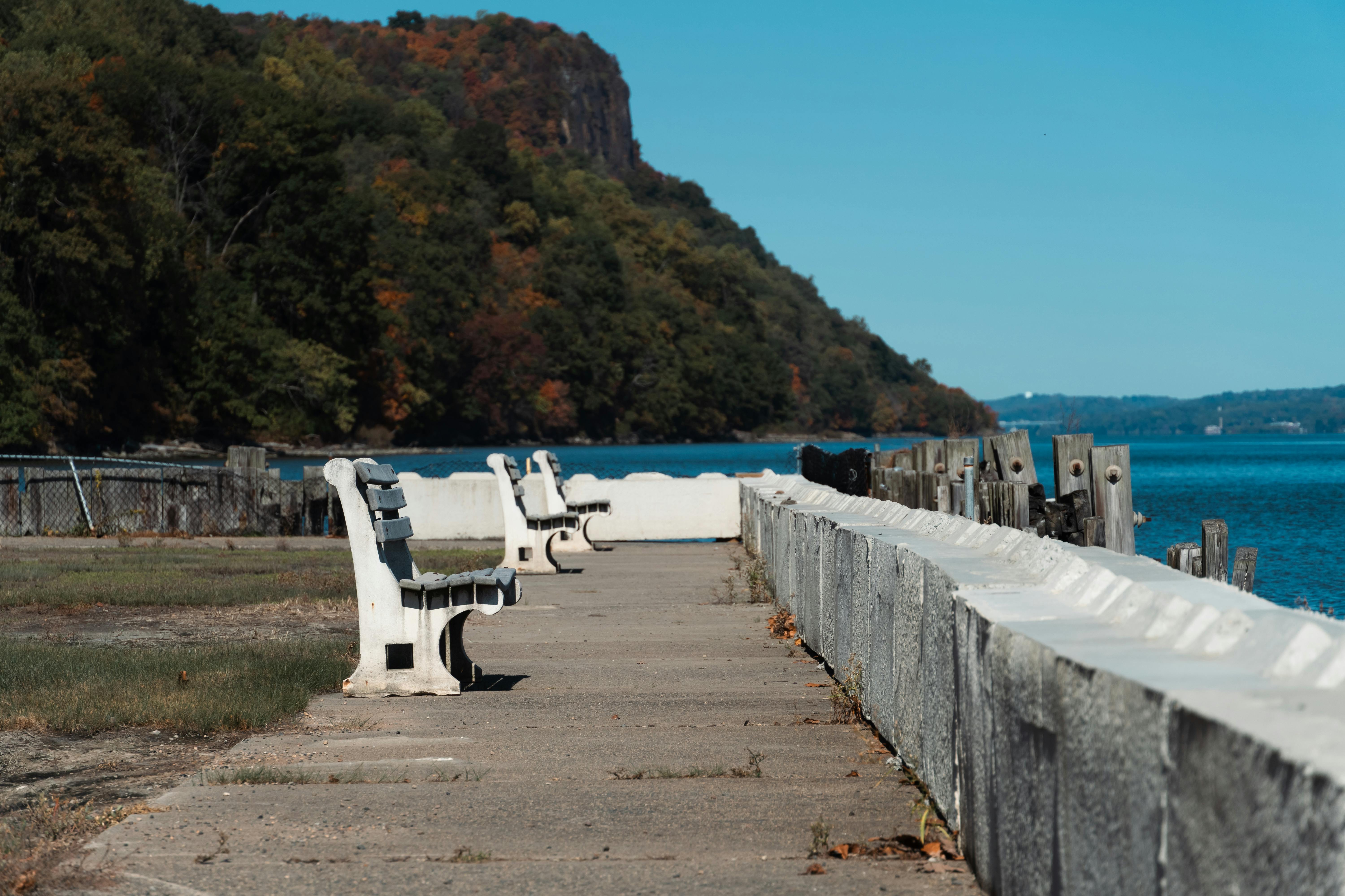 Scenic Autumn View of Lakeside Benches and Trees · Free Stock Photo
