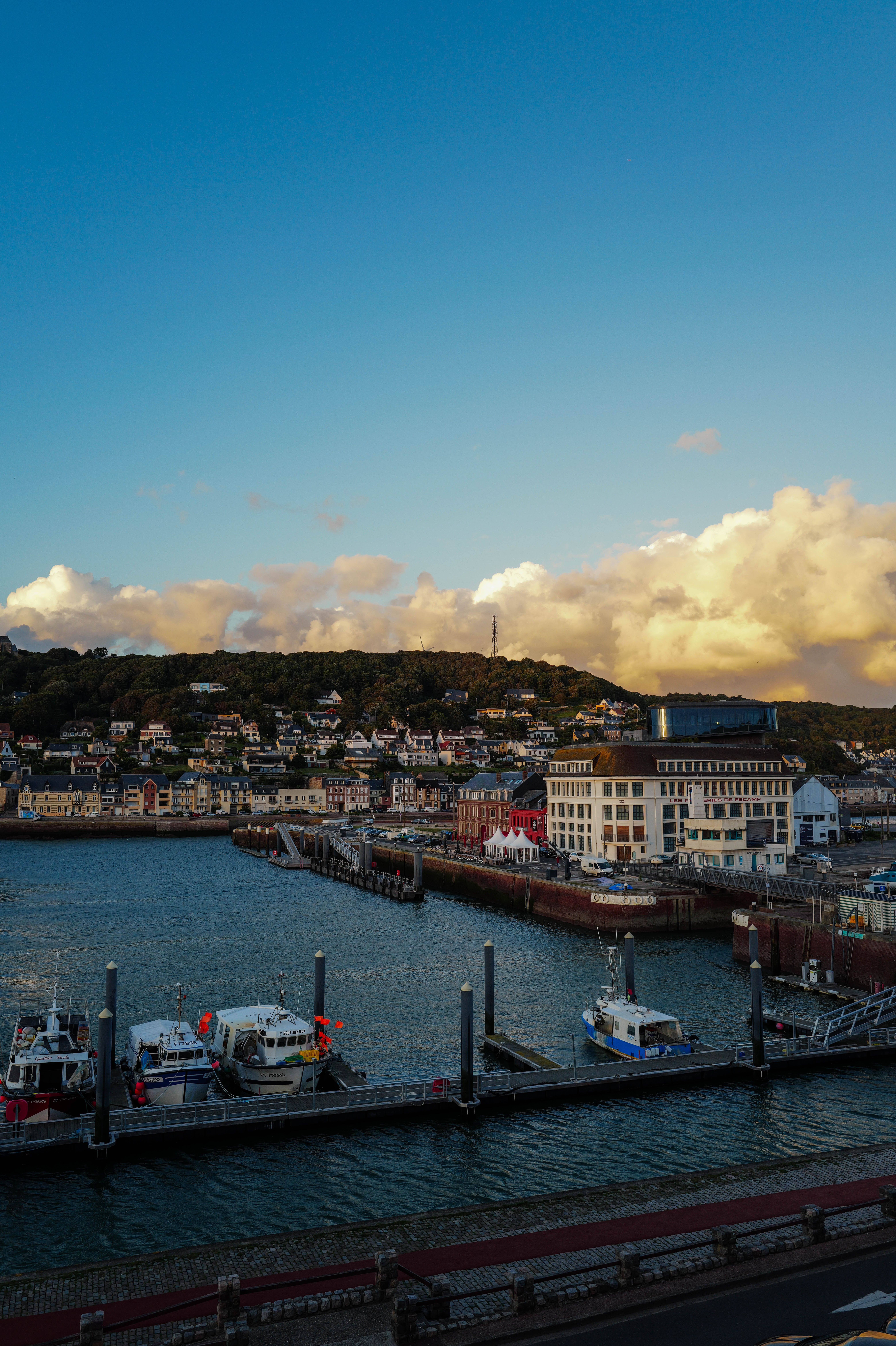 Scenic Harbor View at Sunset · Free Stock Photo