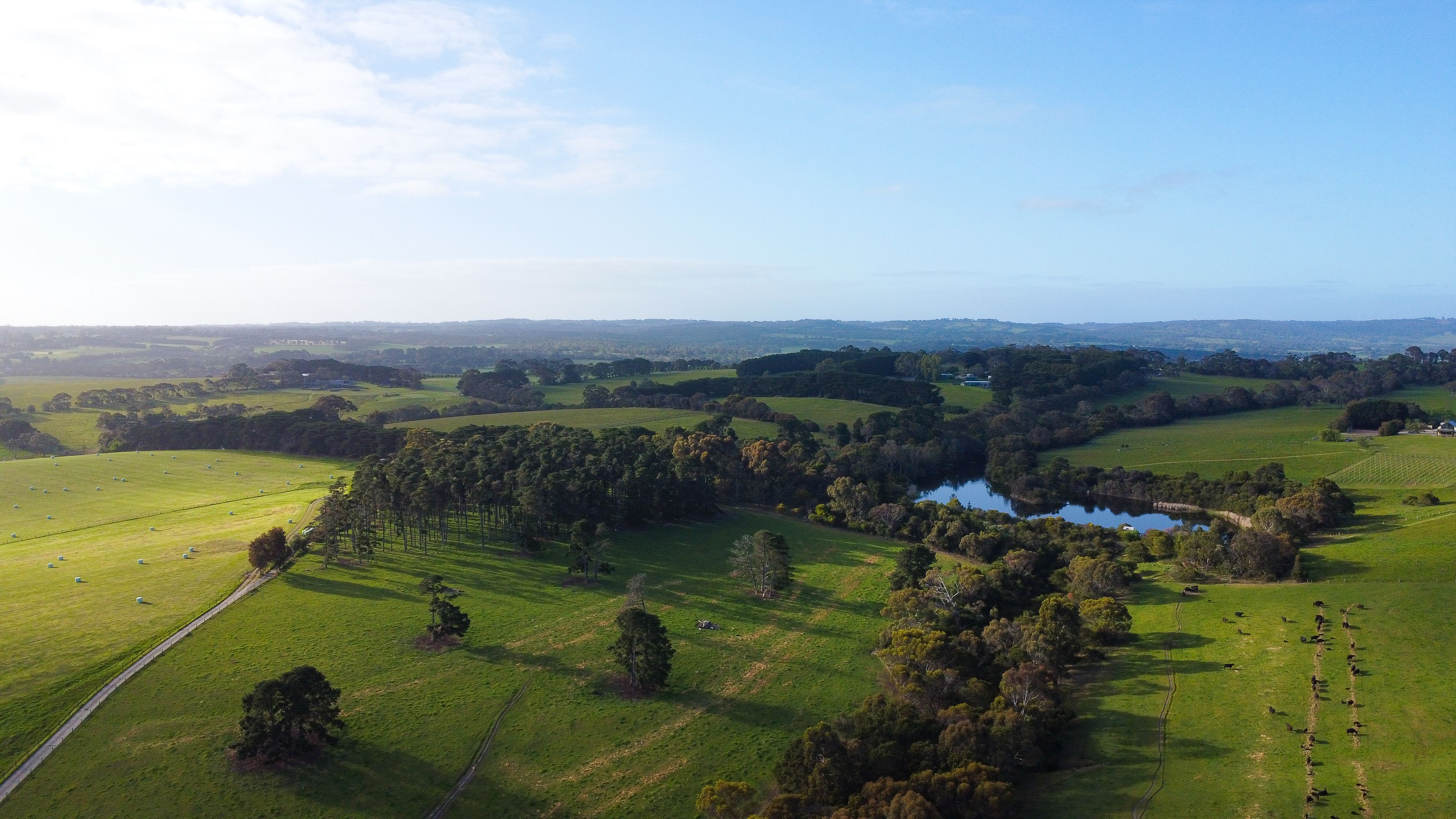 Aerial View of Lush Green Farms in Victoria, Australia · Free Stock Photo