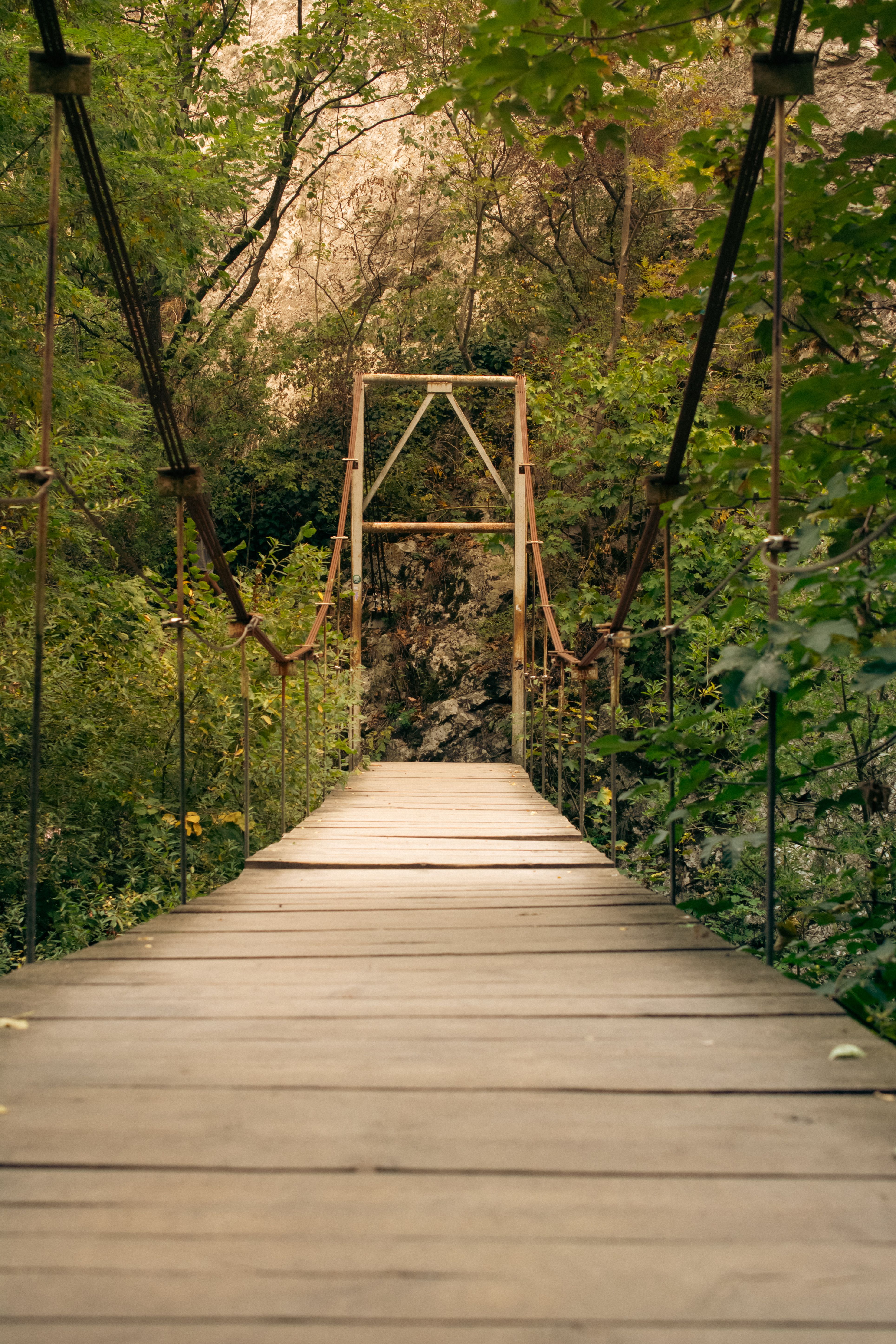 Rustic Wooden Bridge in Romanian Forest · Free Stock Photo