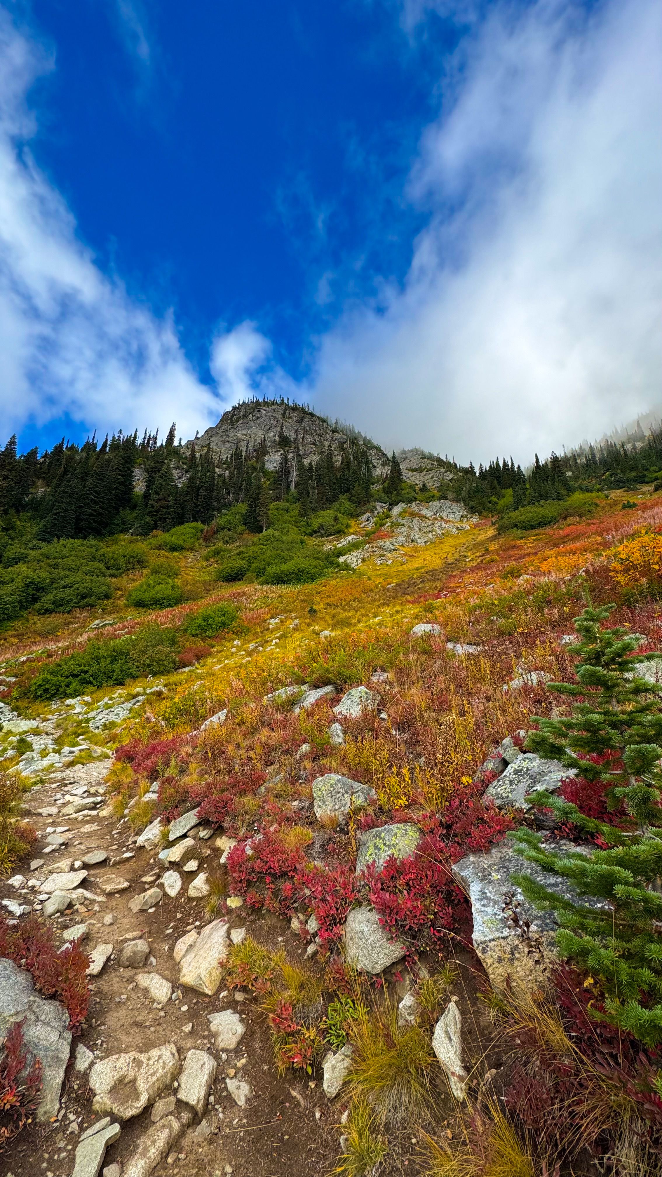 Scenic Mountain Trail During Fall Colors · Free Stock Photo
