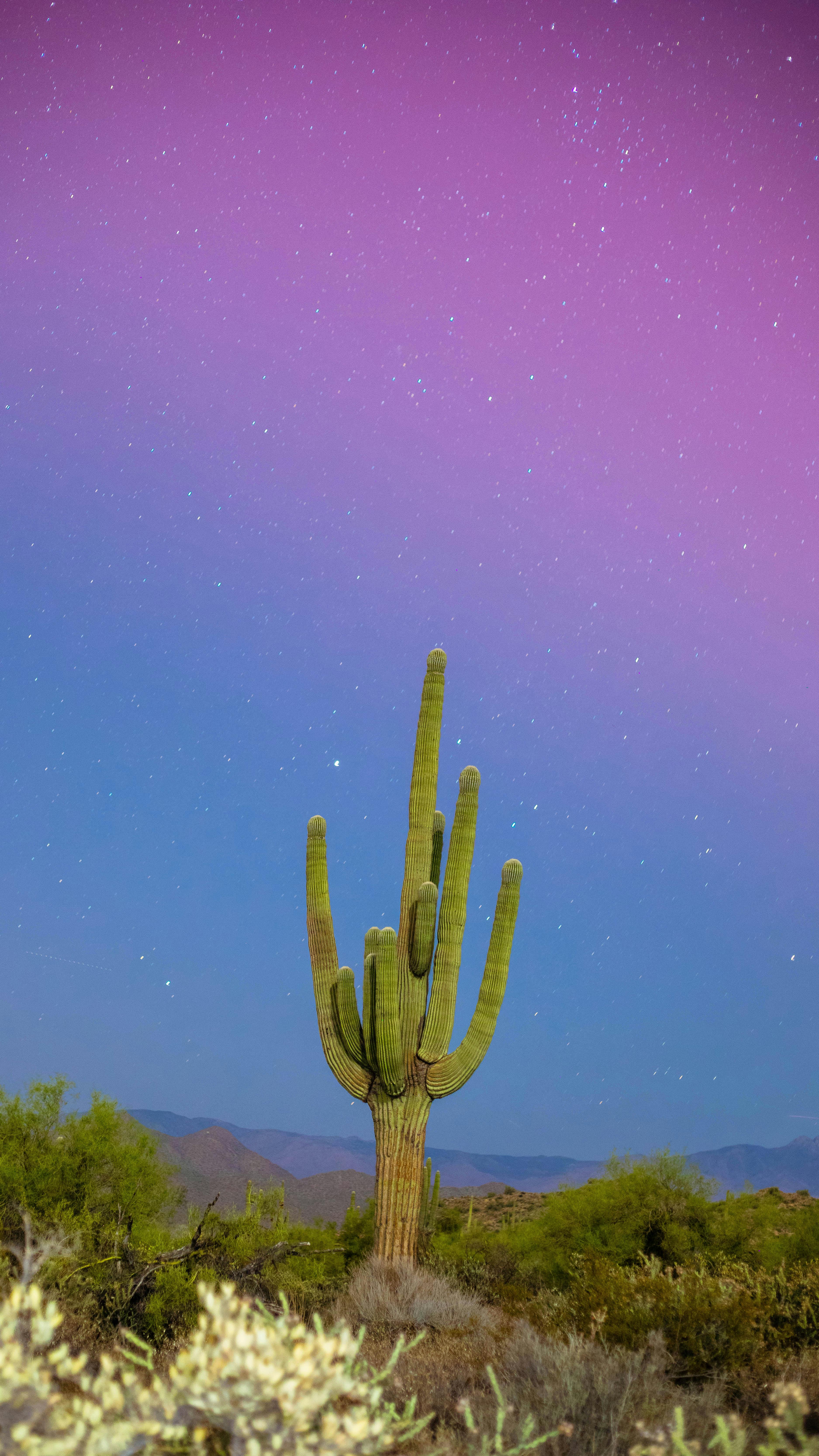 Animis Wallpaper Photos, Download The BEST Free Animis Wallpaper Stock ...