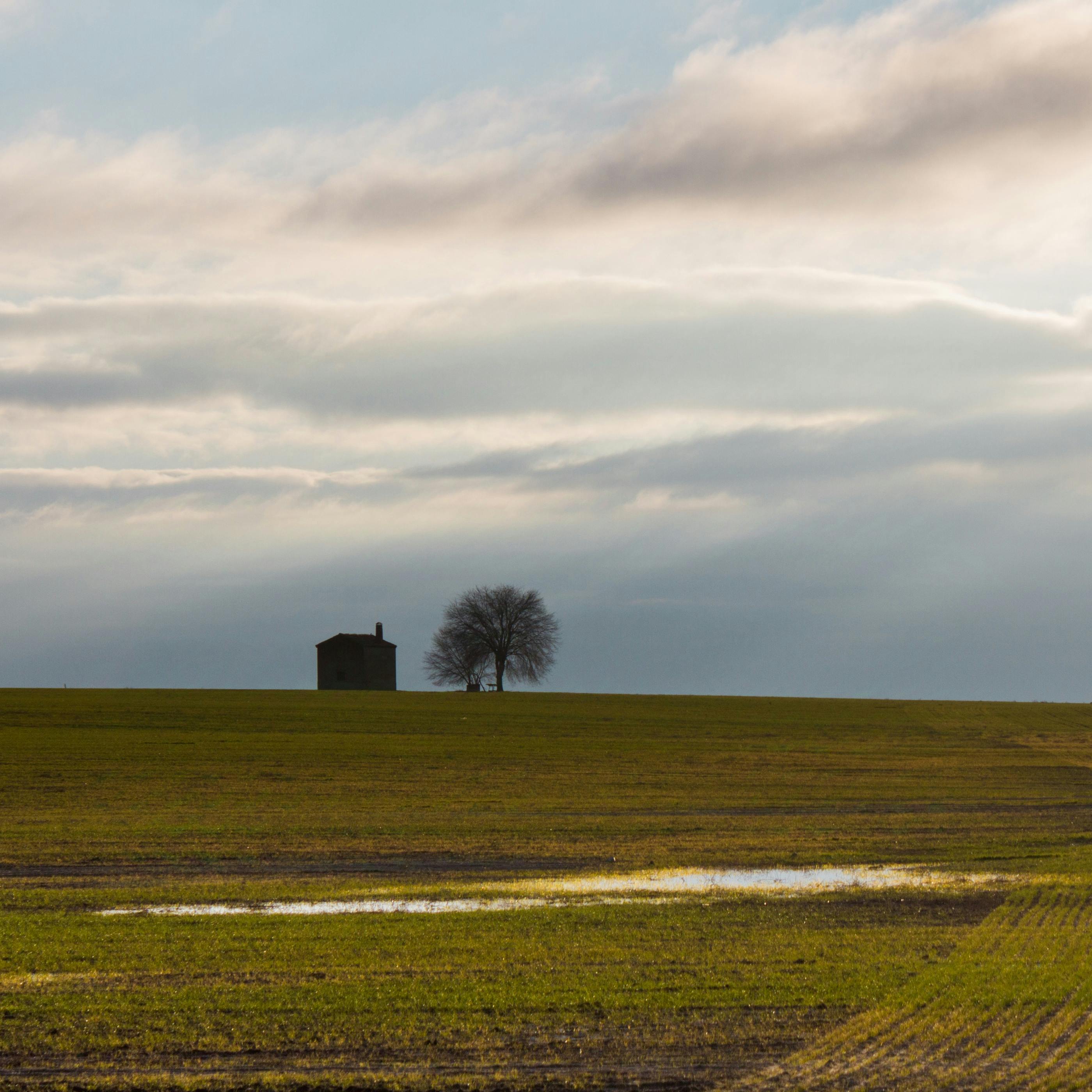 Lonely House and Tree on Open Field Landscape · Free Stock Photo