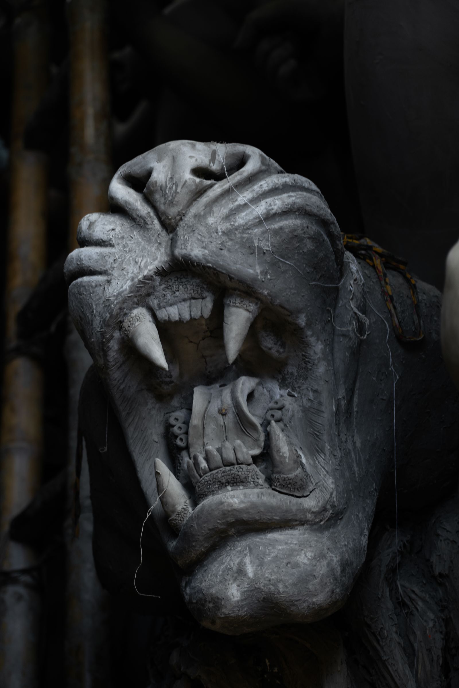 Scarface Lion Photos, Download The BEST Free Scarface Lion Stock Photos ...