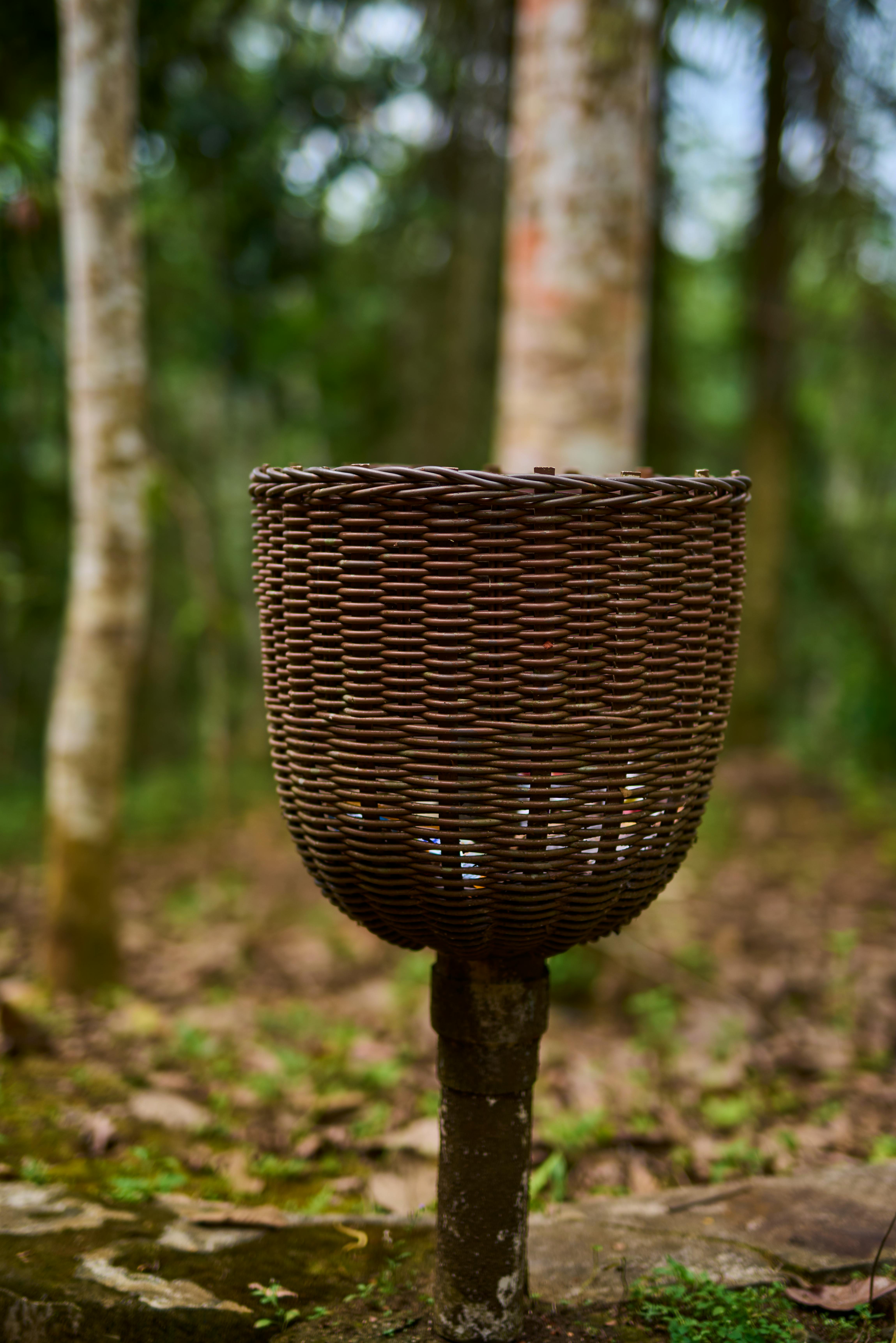 Close-up of a Rubber Tapping Cup in a Forest · Free Stock Photo