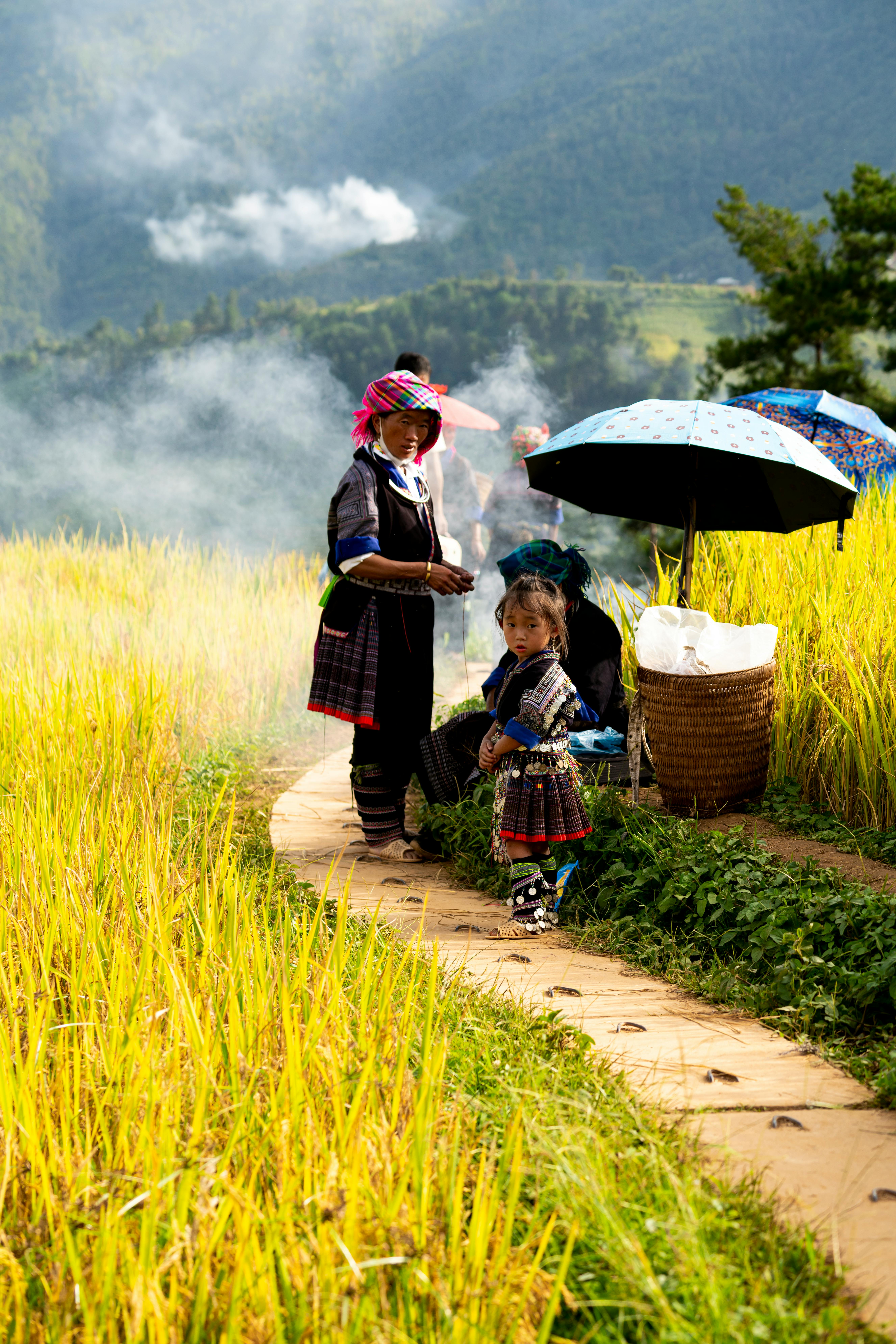 Ethnic Hmong Family in Lush Rice Field · Free Stock Photo