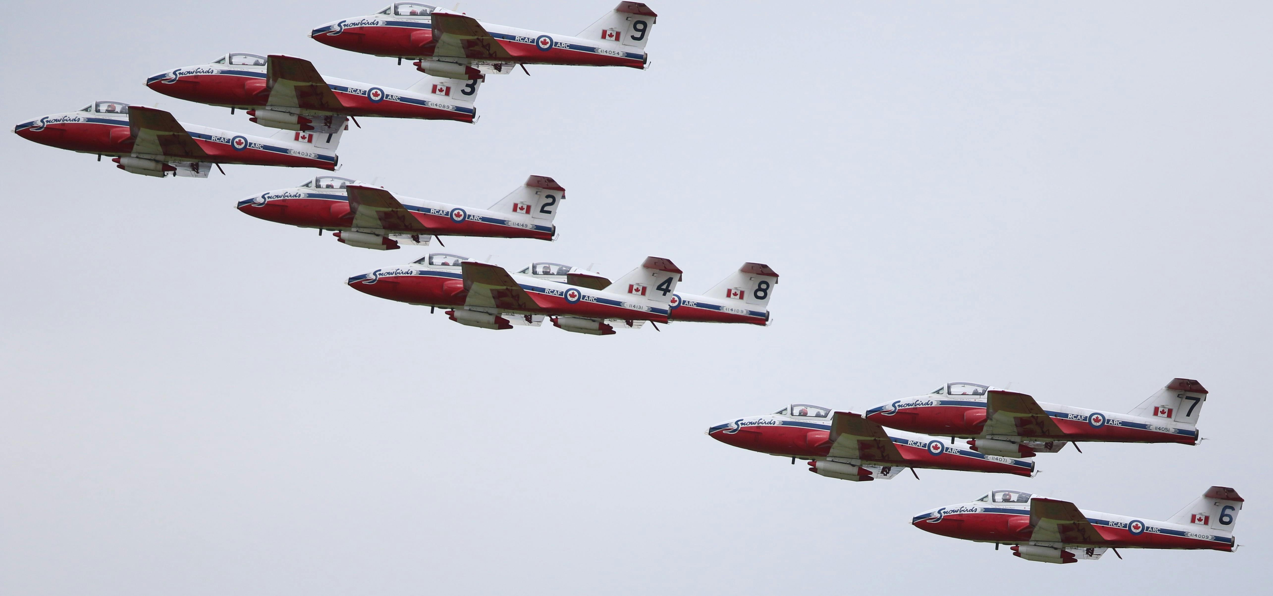 Canadian Snowbirds Formation Flight Display · Free Stock Photo