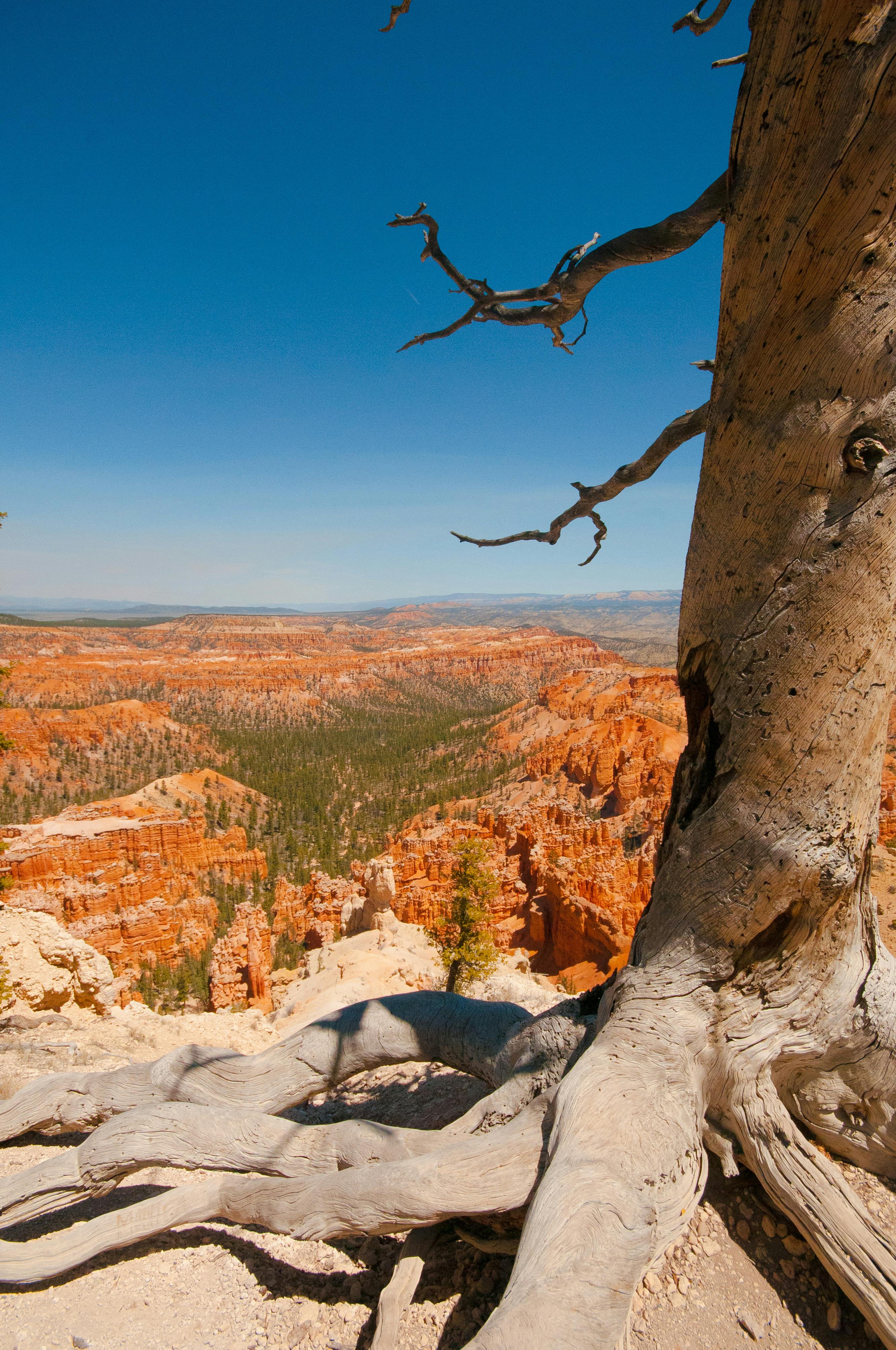 Desert Geology Photos, Download The BEST Free Desert Geology Stock ...