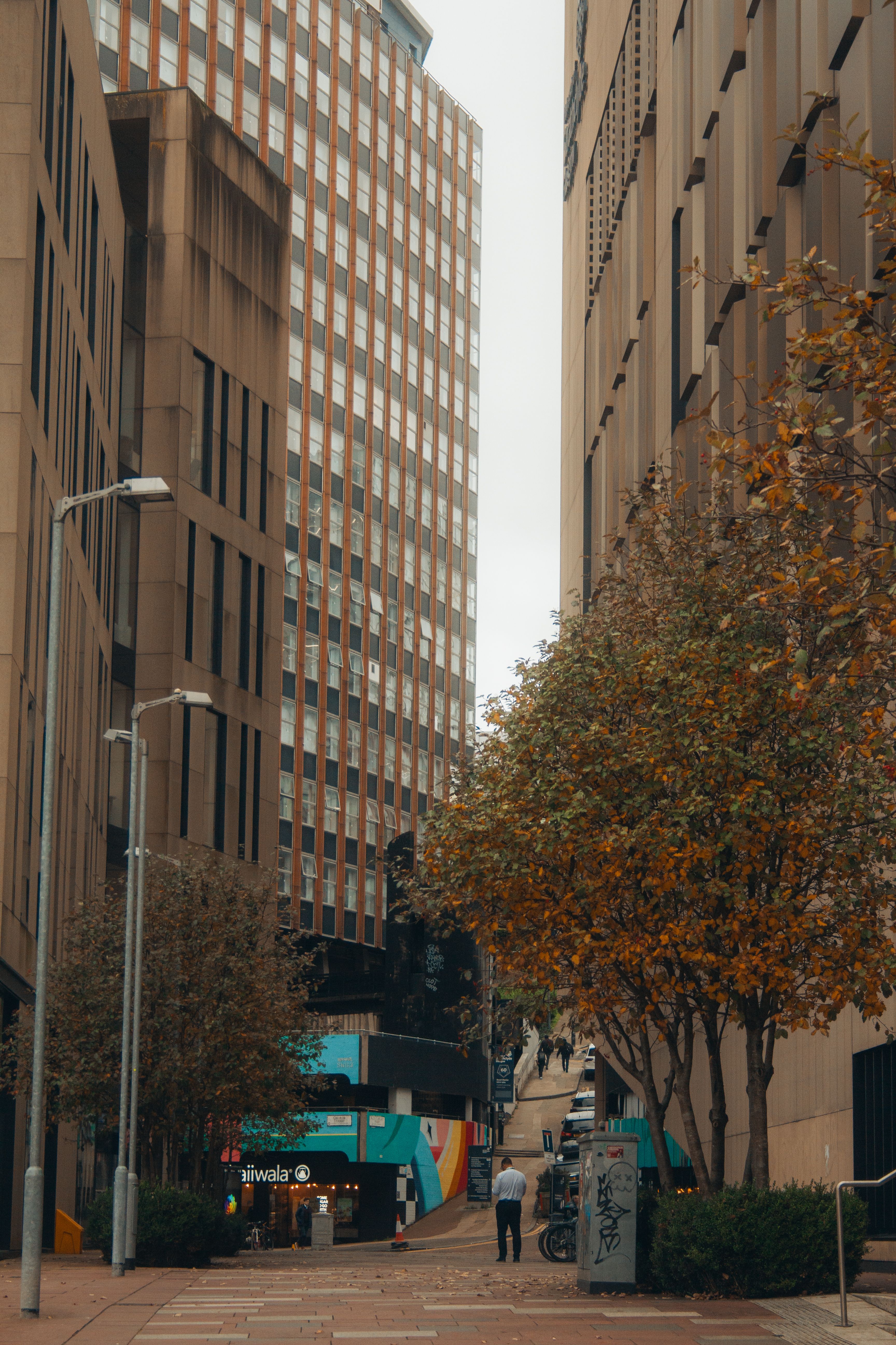 Calle Urbana Con Edificios Altos En Otoño · Foto de stock gratuita