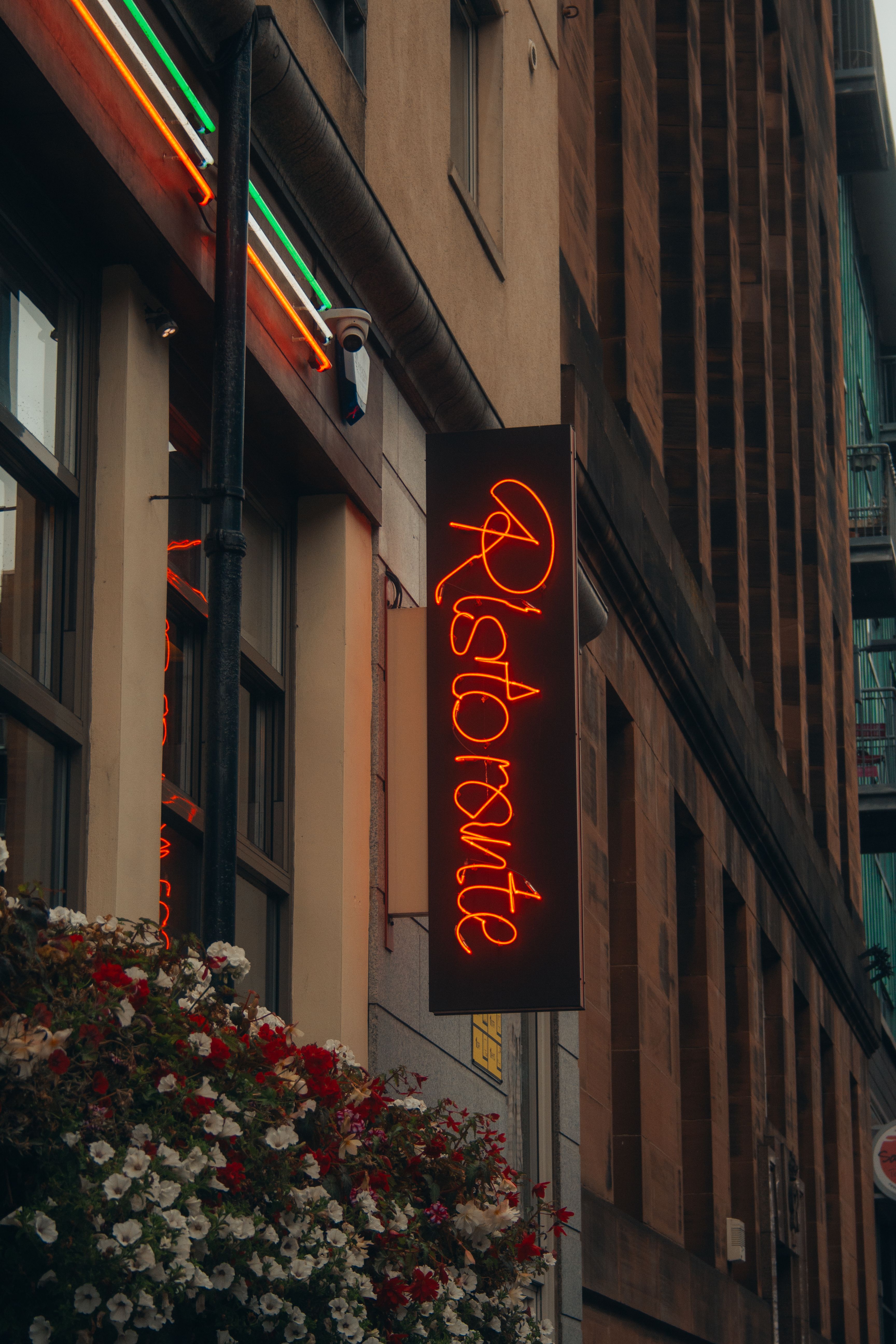 Elegant Neon Ristorante Sign on Urban Street · Free Stock Photo