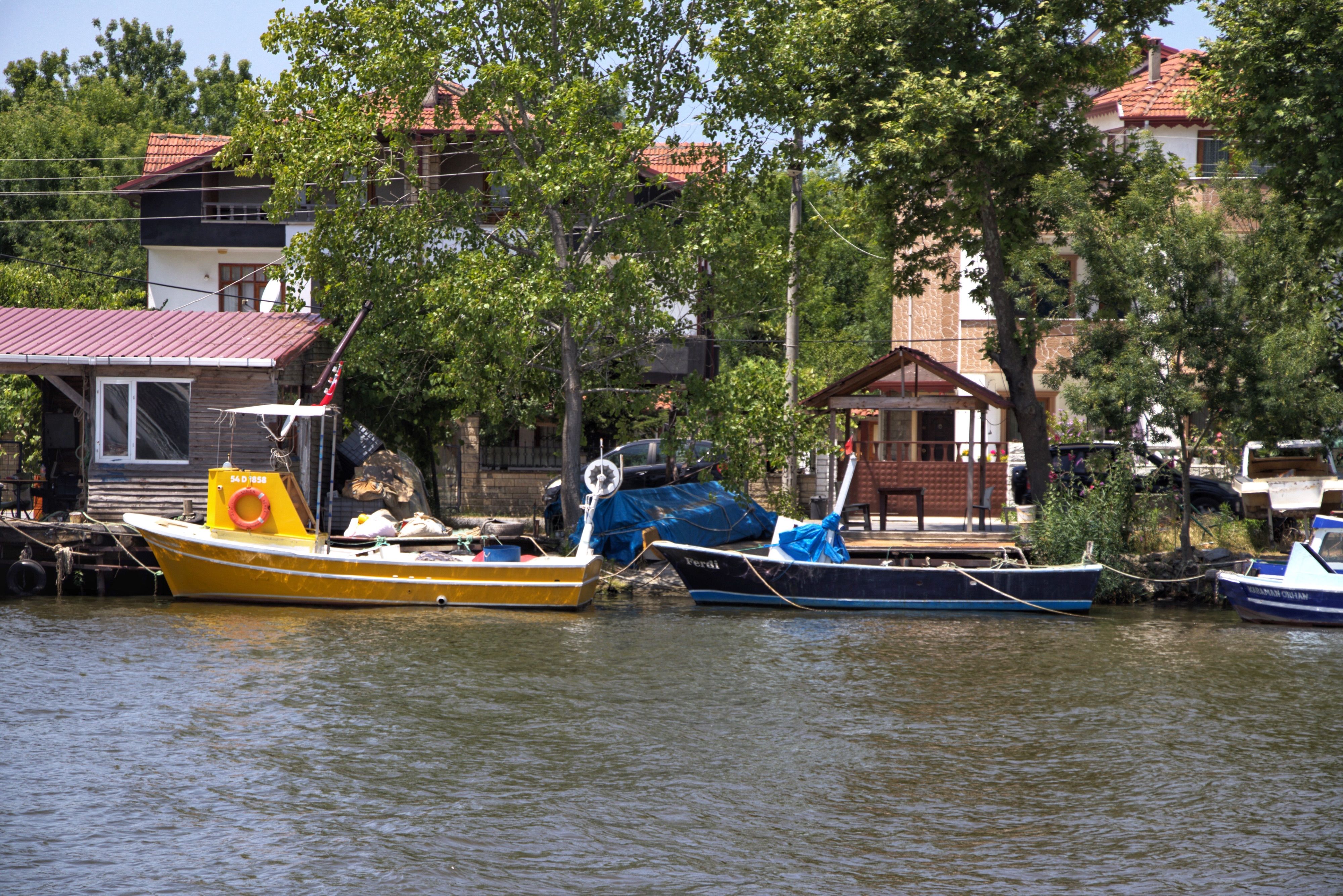 Colorful Boats Docked by Riverside Houses · Free Stock Photo