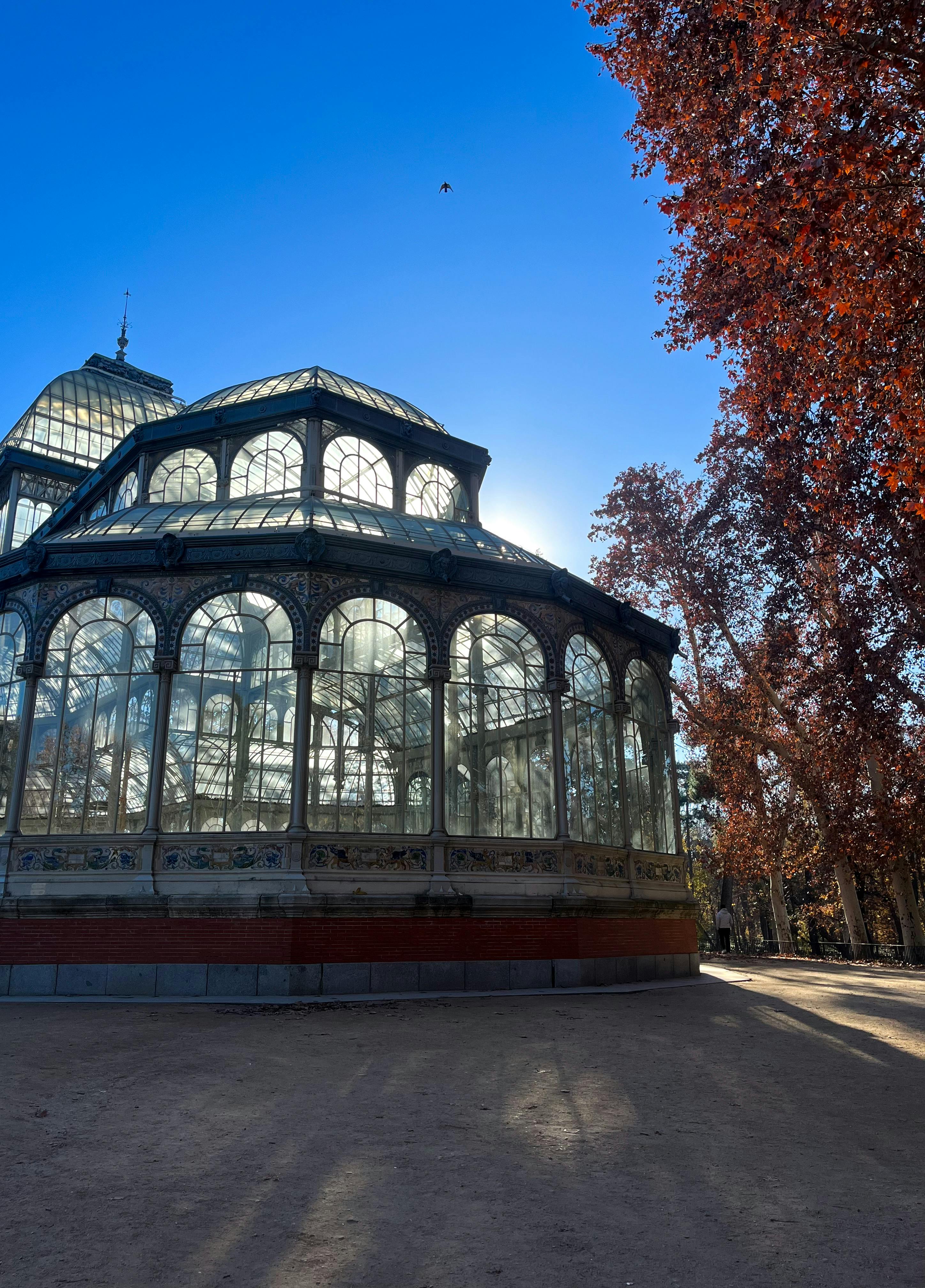 Botanical Conservatory Photos, Download The BEST Free Botanical ...