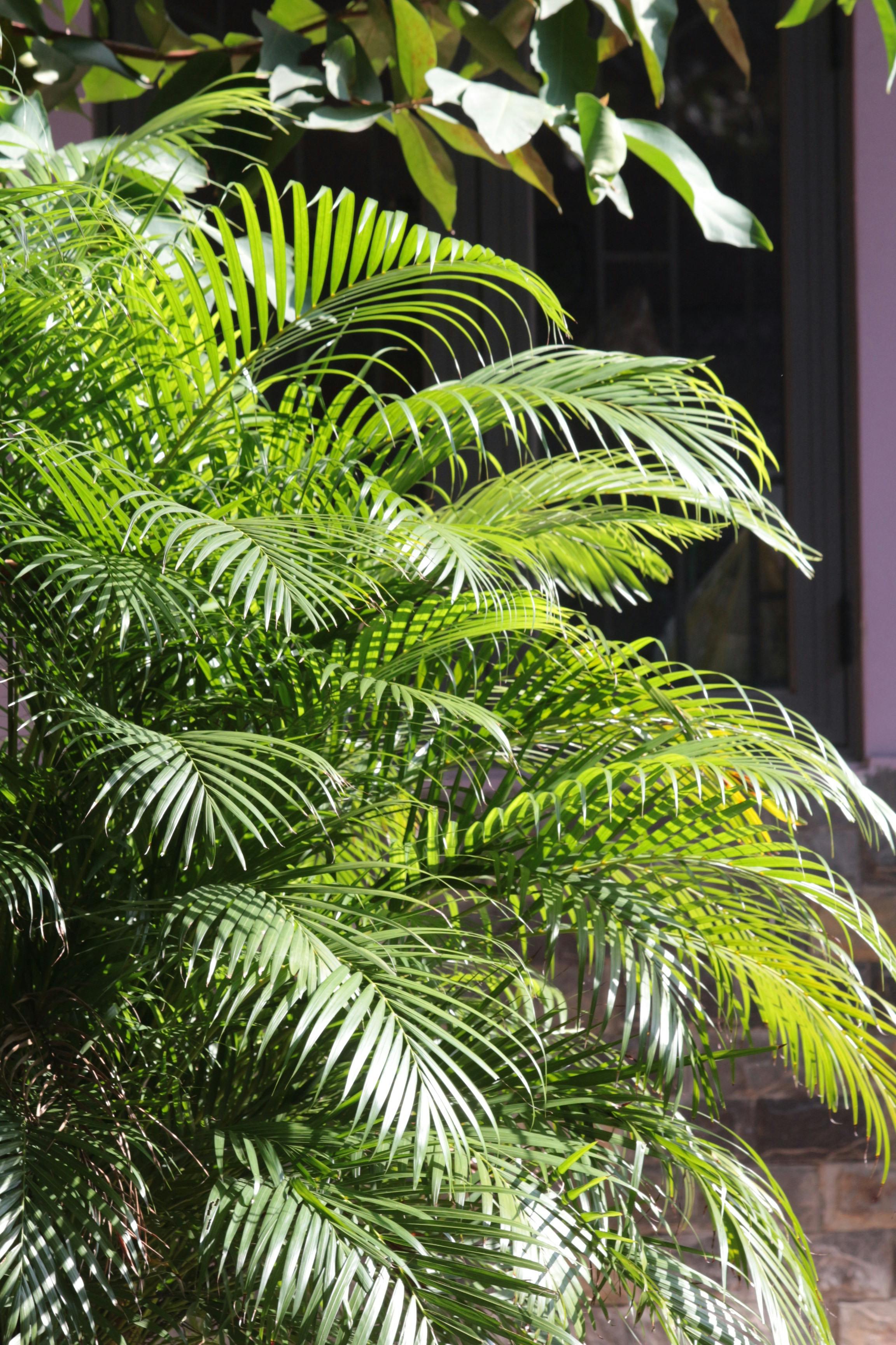 My Home Photos, Download The BEST Free My Home Stock Photos & HD Images