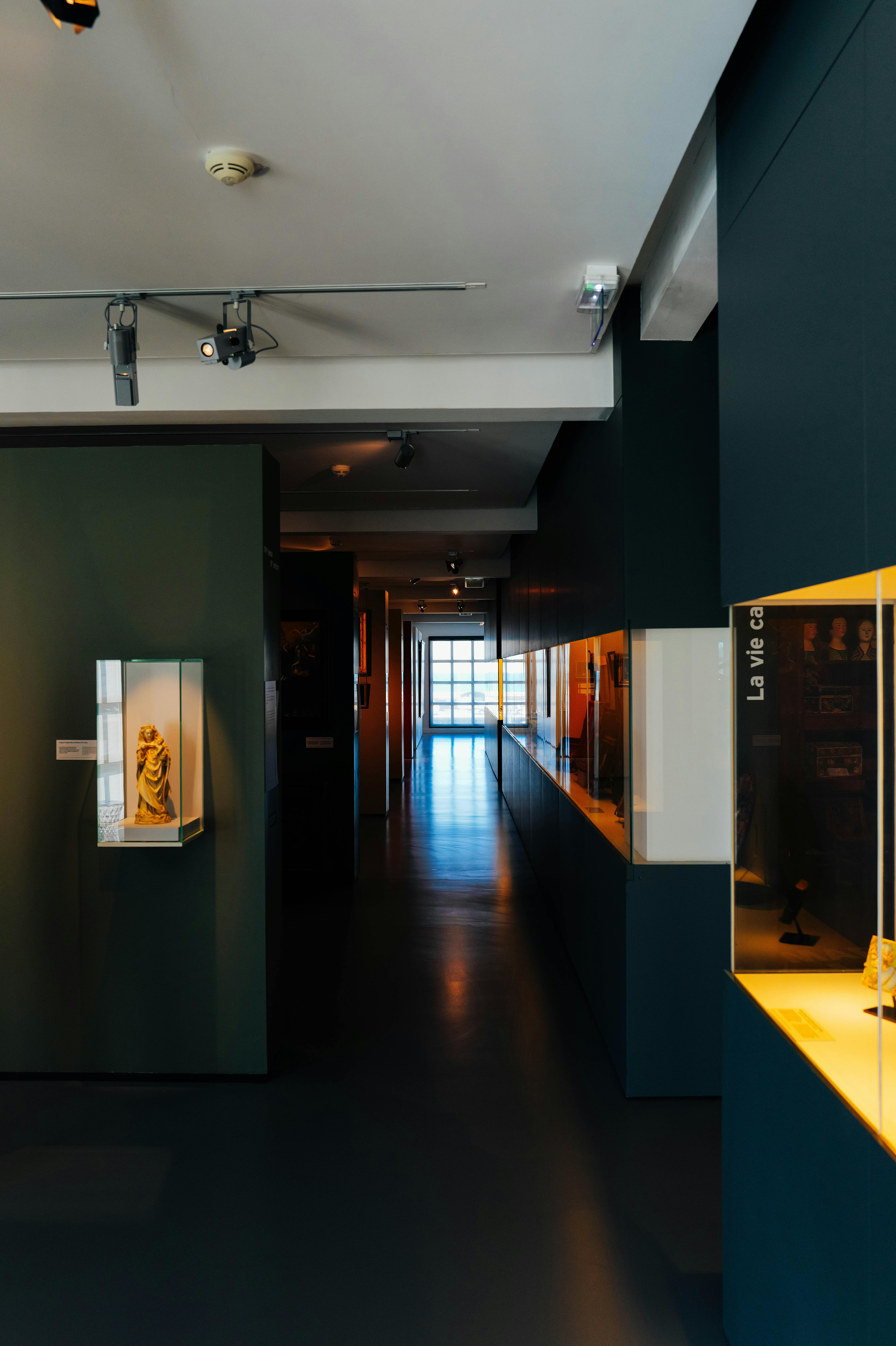 Modern Art Museum Hallway with Displays · Free Stock Photo