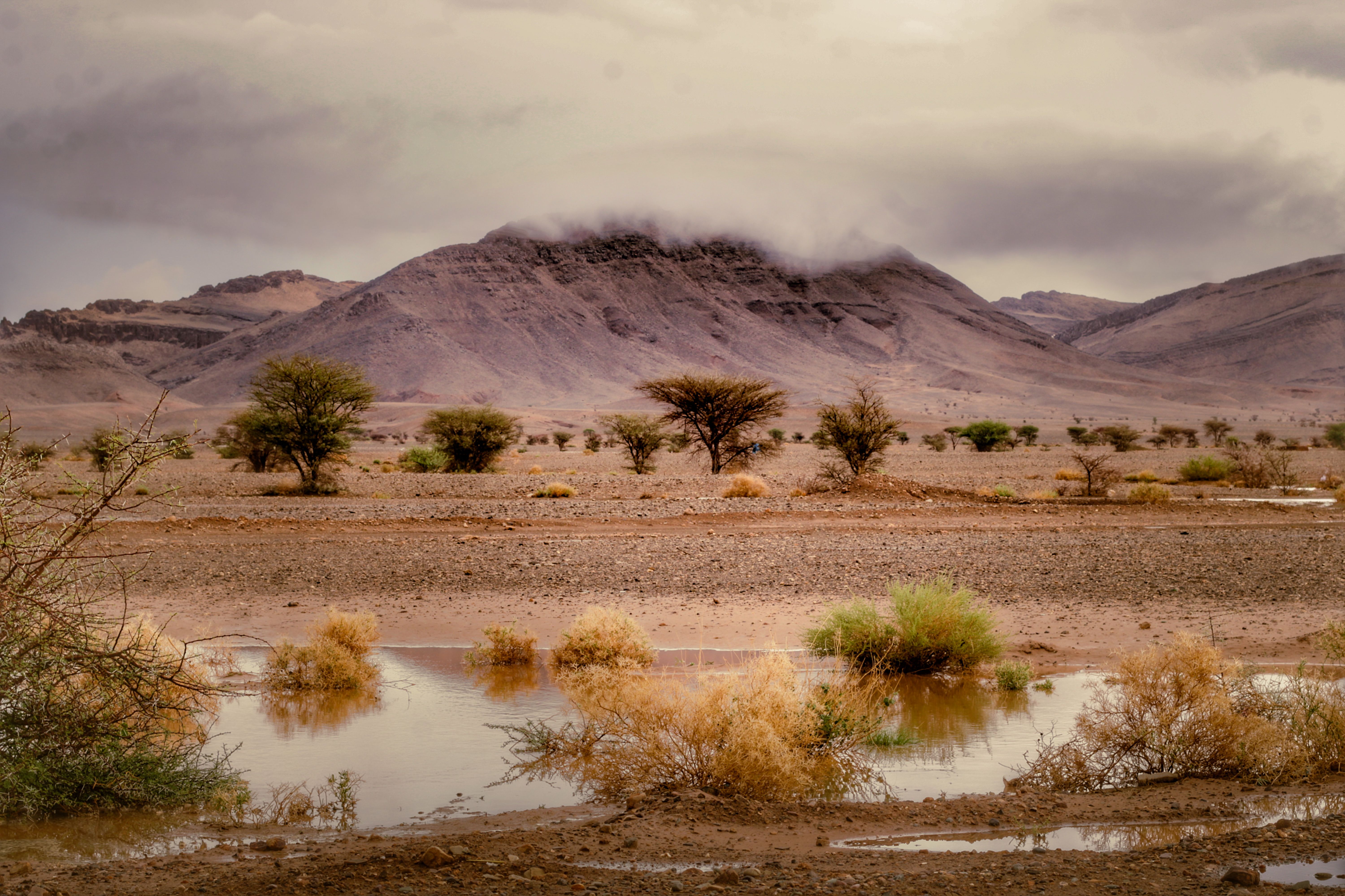 Stunning Desert Landscape with Mountain Background · Free Stock Photo