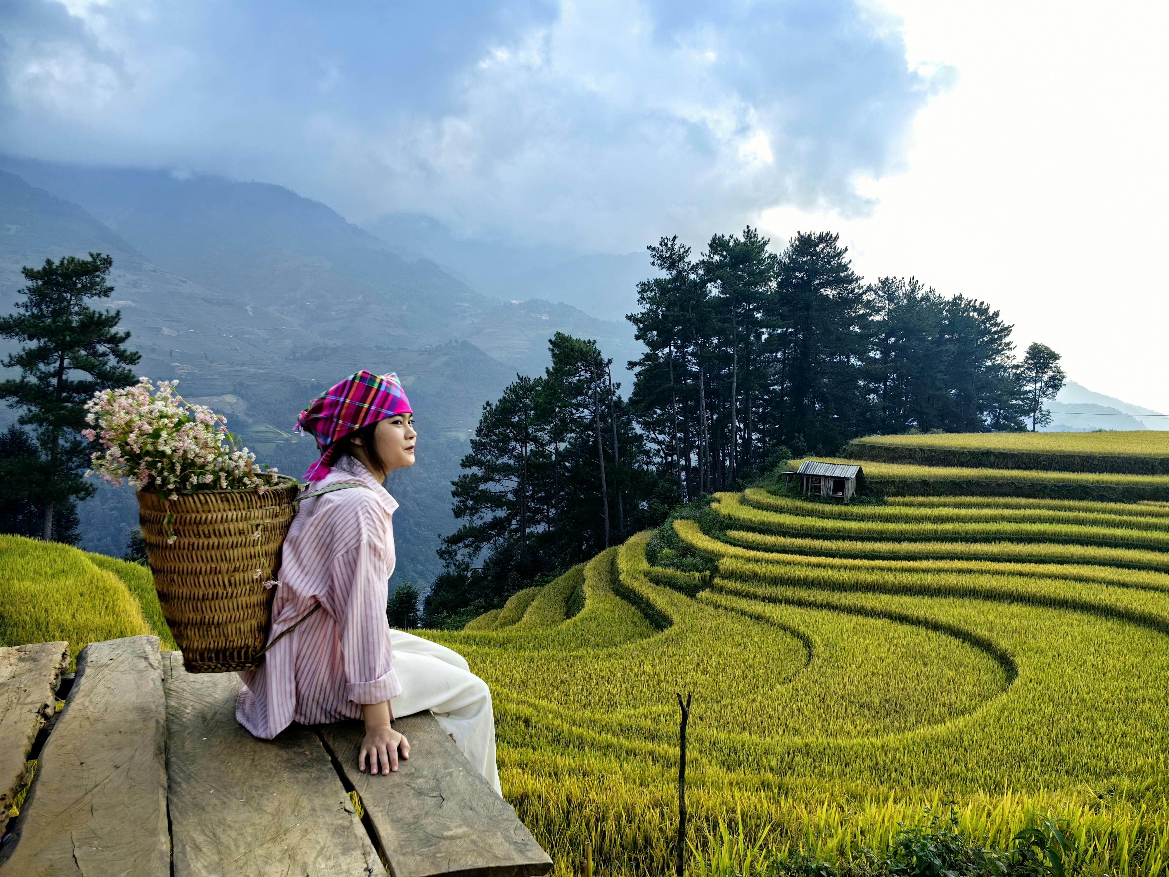 Yên Bái Rice Terraces with Hmong Woman · Free Stock Photo