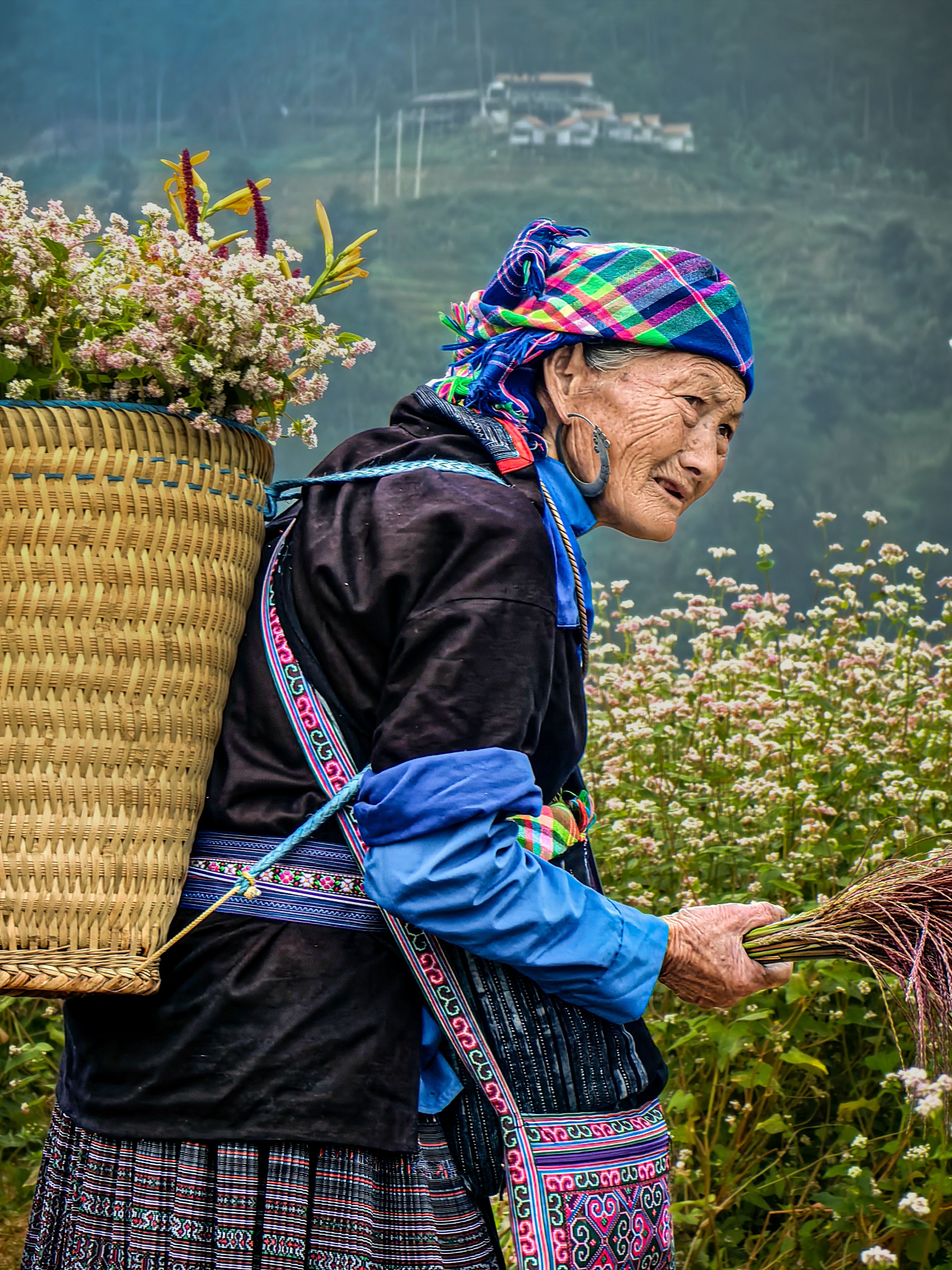 Mulher Hmong Em Campos De Arroz Em Terraços, Yên Bái · Foto ...