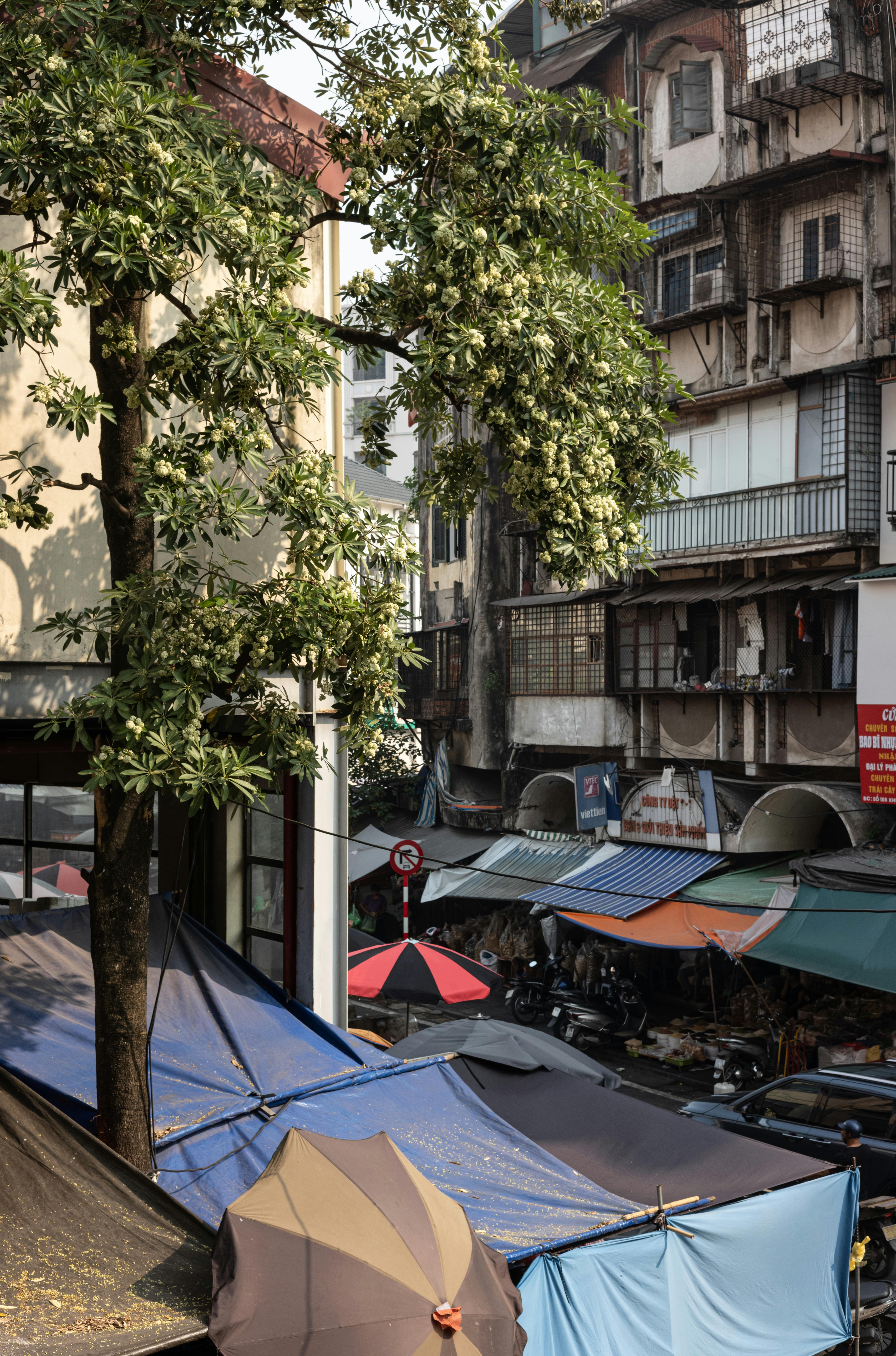 Pemandangan Pasar Yang Ramai Dengan Kanopi Dan Pepohonan · Foto Stok Gratis