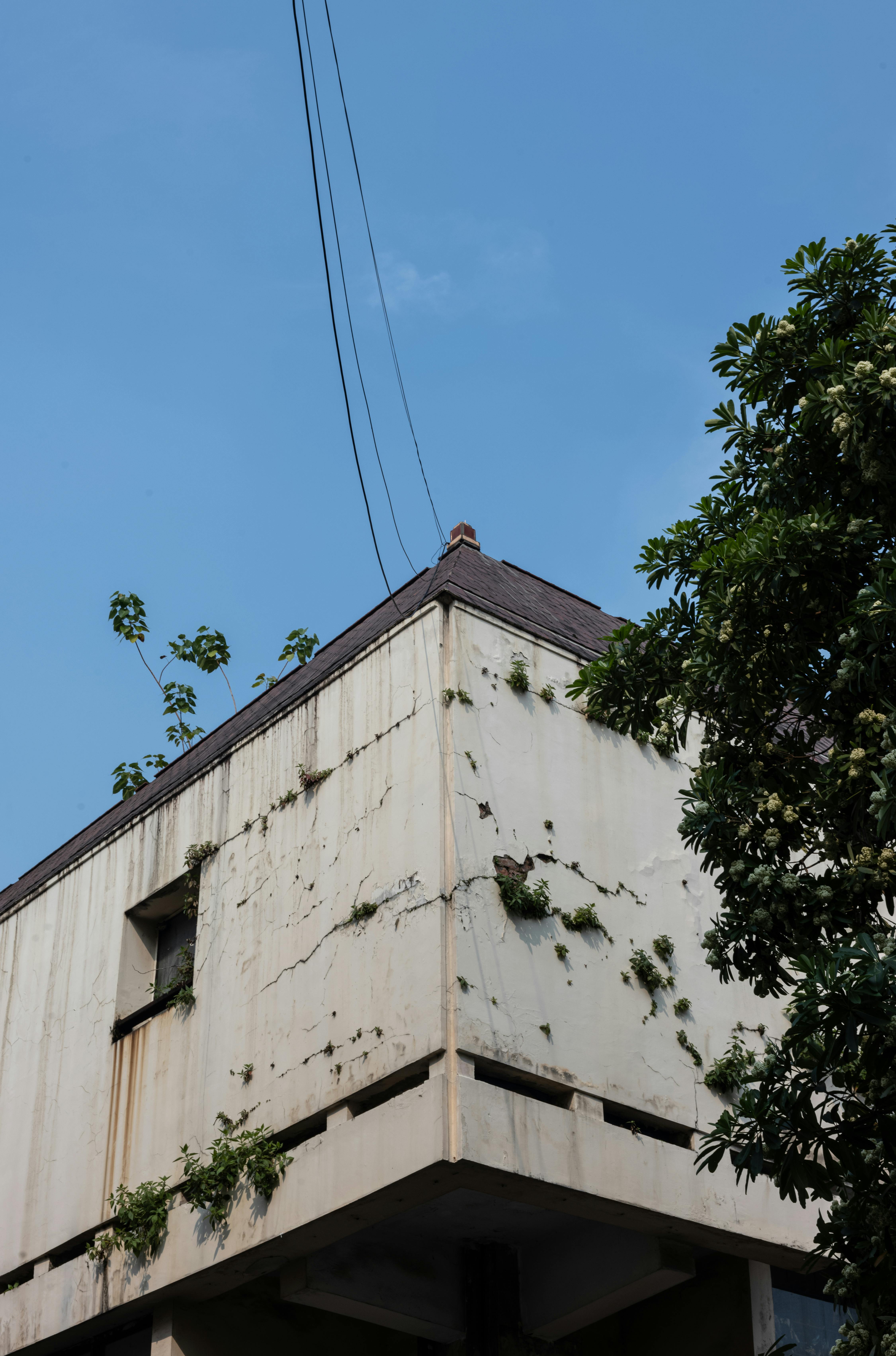 Weathered Building Corner with Vegetation · Free Stock Photo