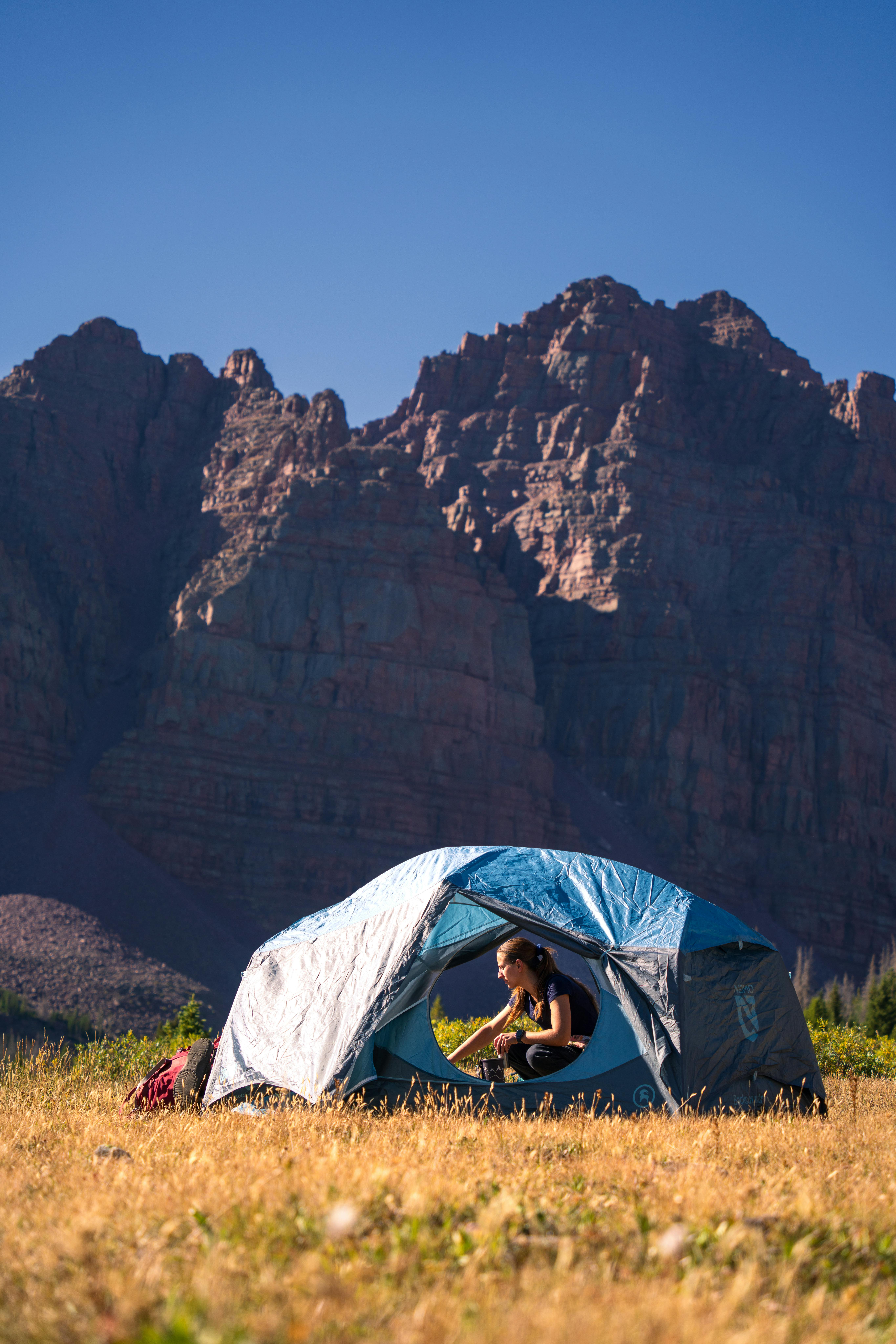 Coffee Day National Photos, Download The BEST Free Coffee Day National ...