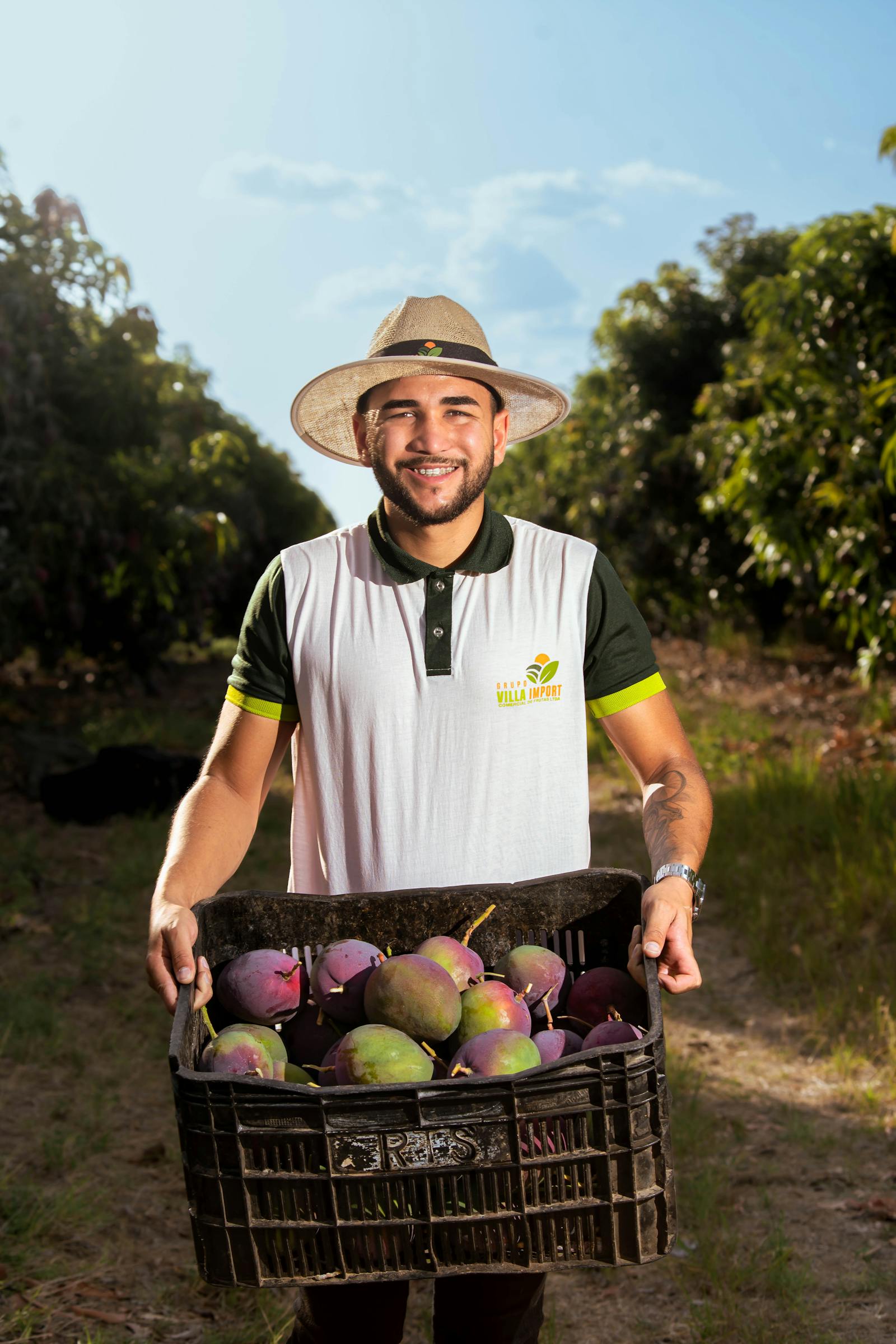 Fruit Farm Photos, Download The BEST Free Fruit Farm Stock Photos & HD ...