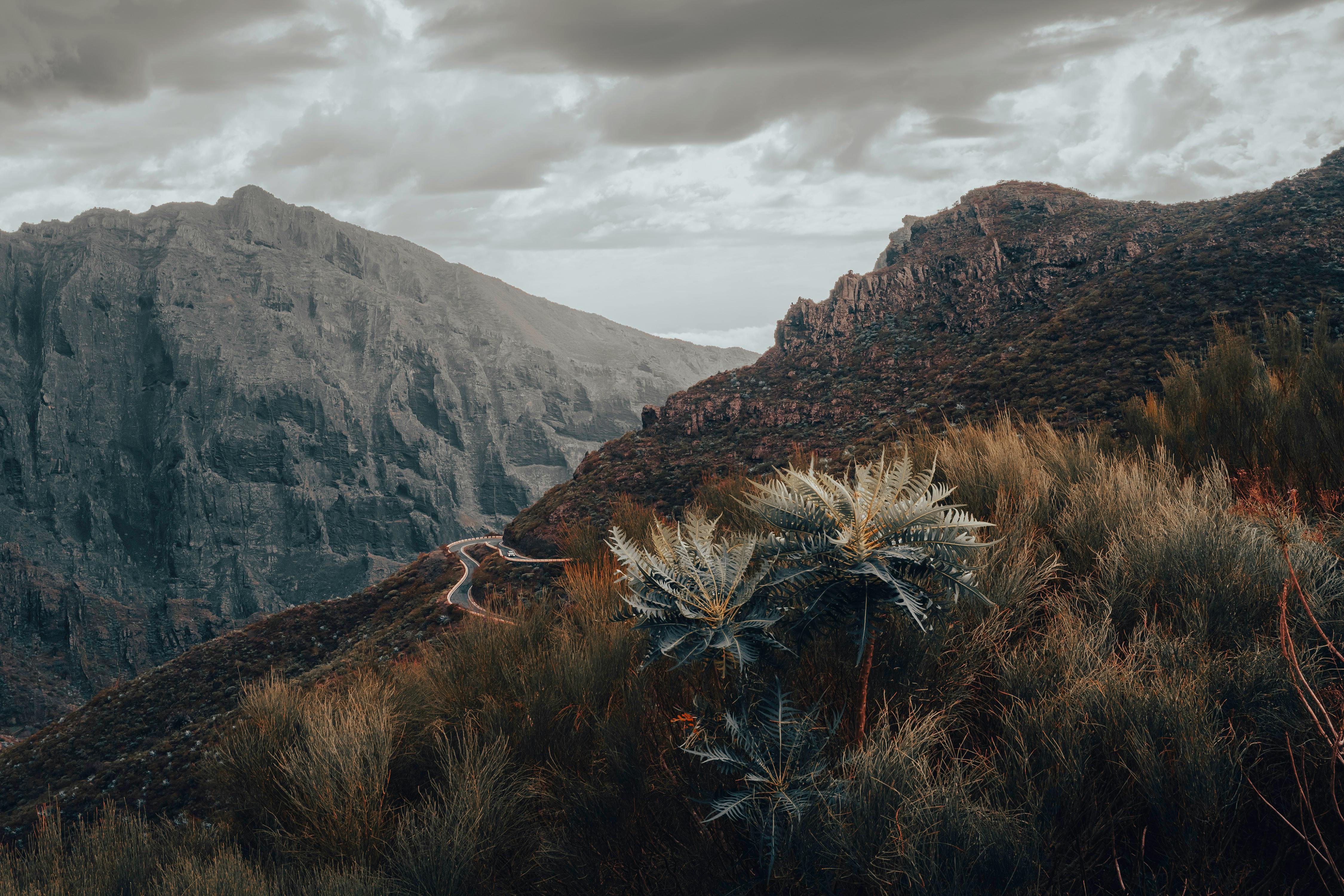 4k Wallpapaer Photos, Download The BEST Free 4k Wallpapaer Stock Photos ...