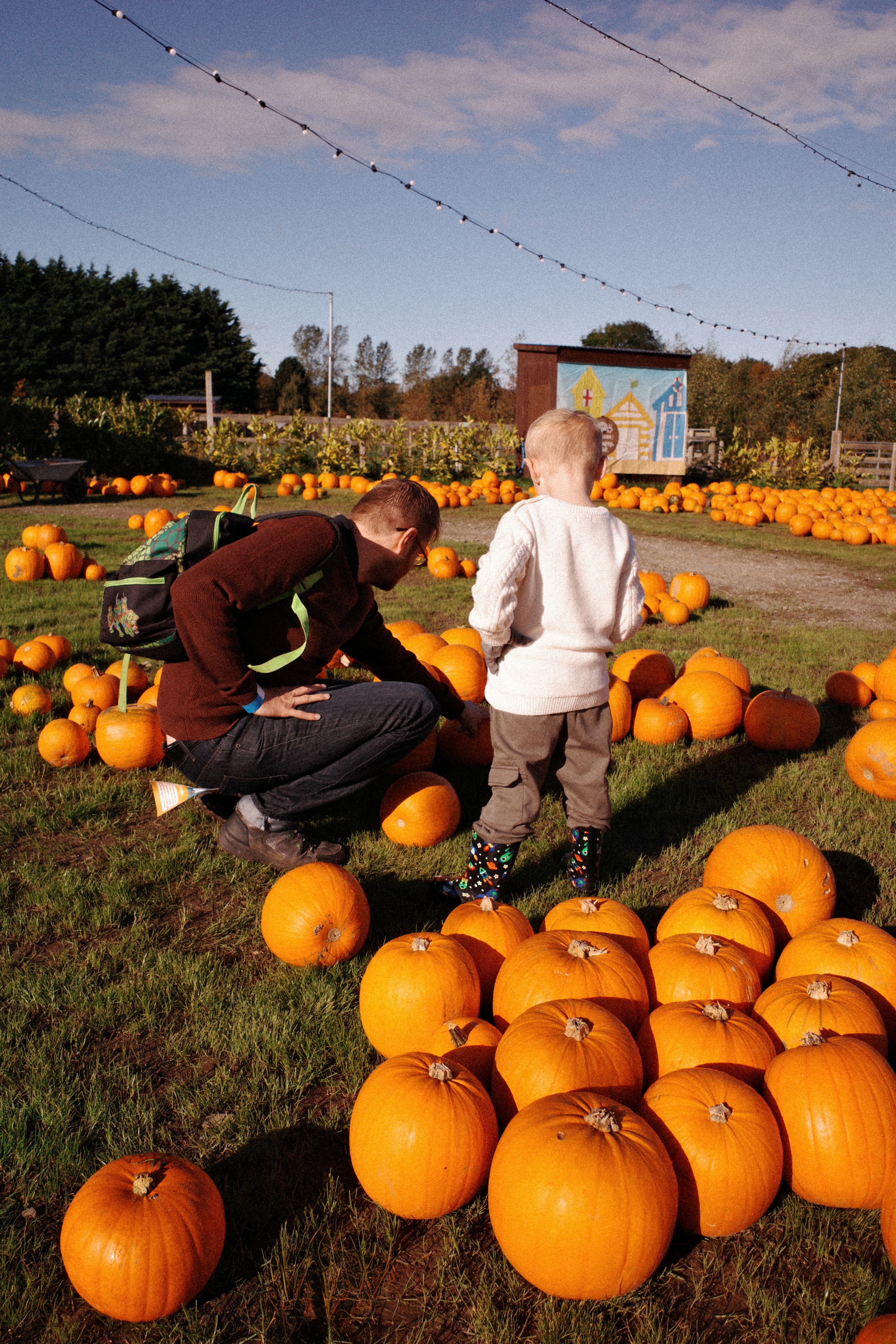 Father and Son Picking Pumpkins in Fall · Free Stock Photo