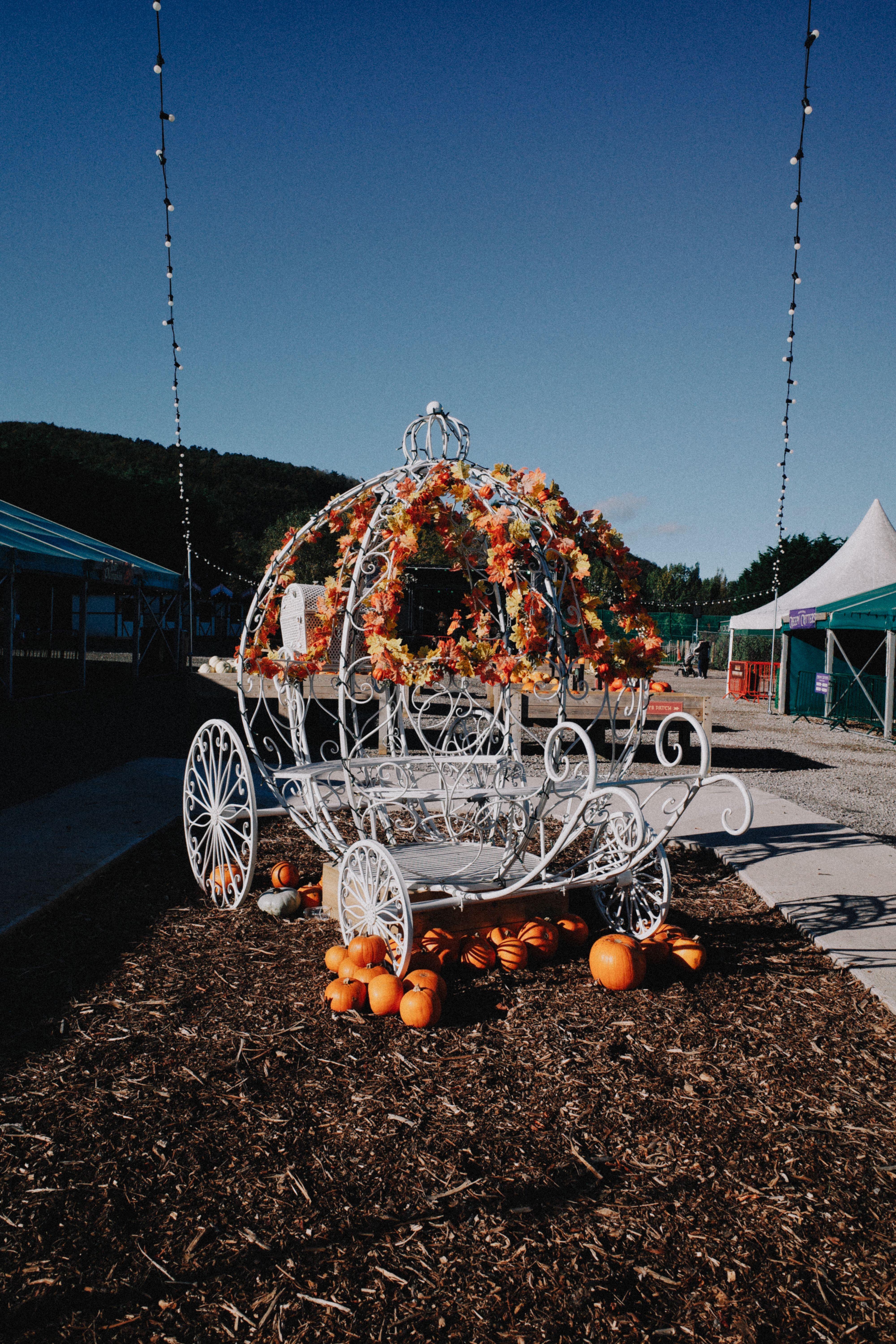Whimsical Carriage with Pumpkins in Autumn Setting · Free Stock Photo