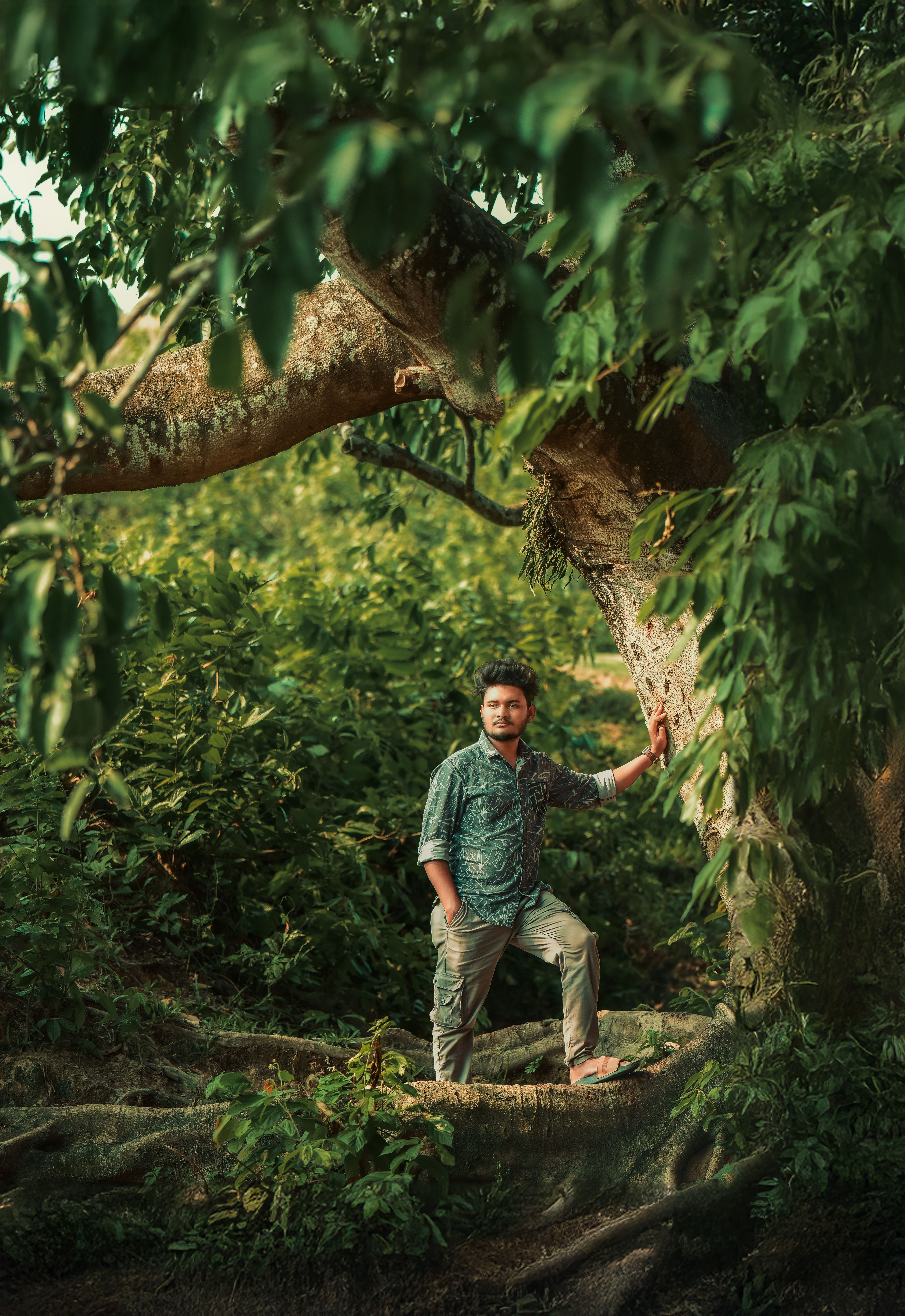 Man in Tropical Forest with Majestic Tree · Free Stock Photo