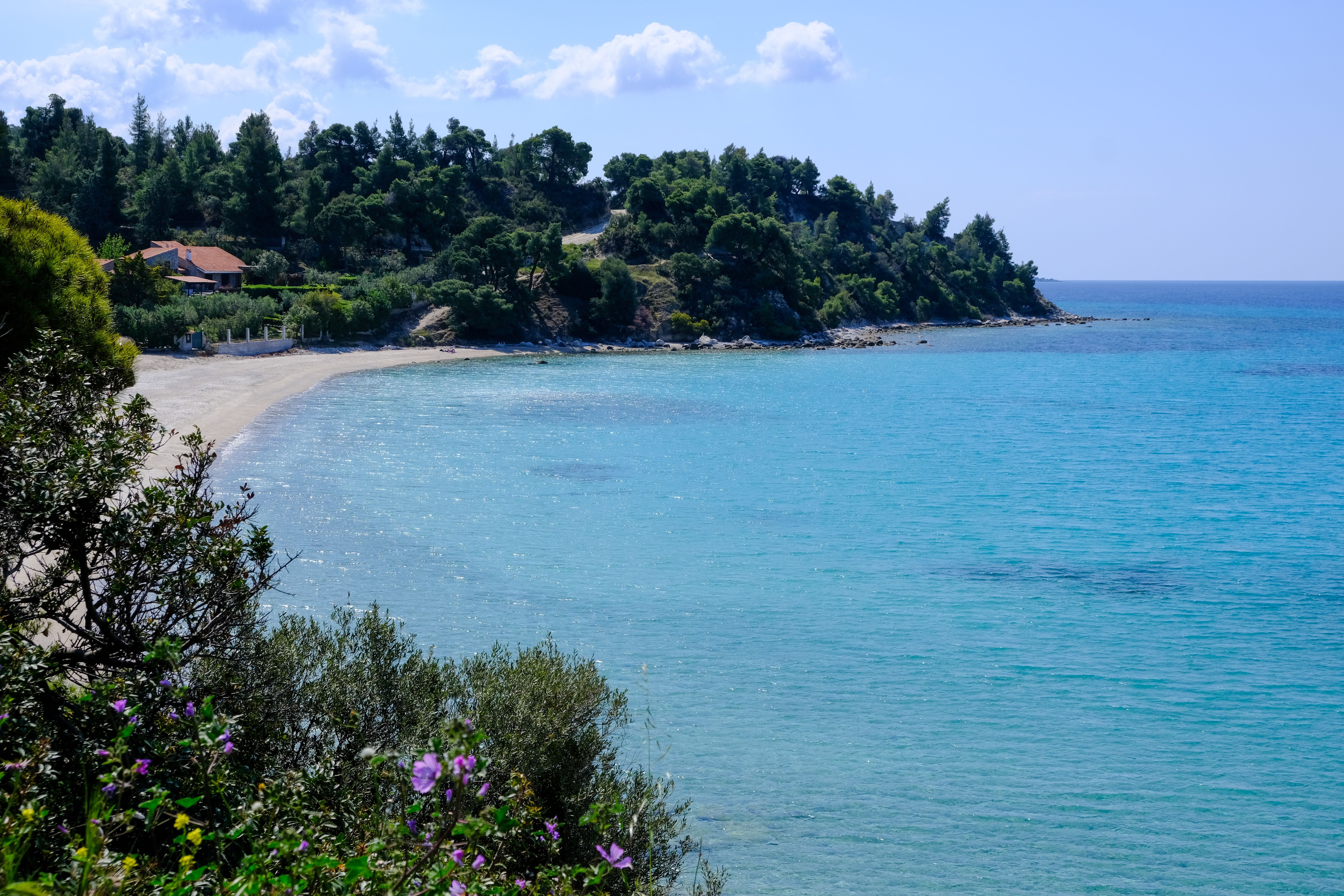 Serene Coastal View of a Greek Beach · Free Stock Photo