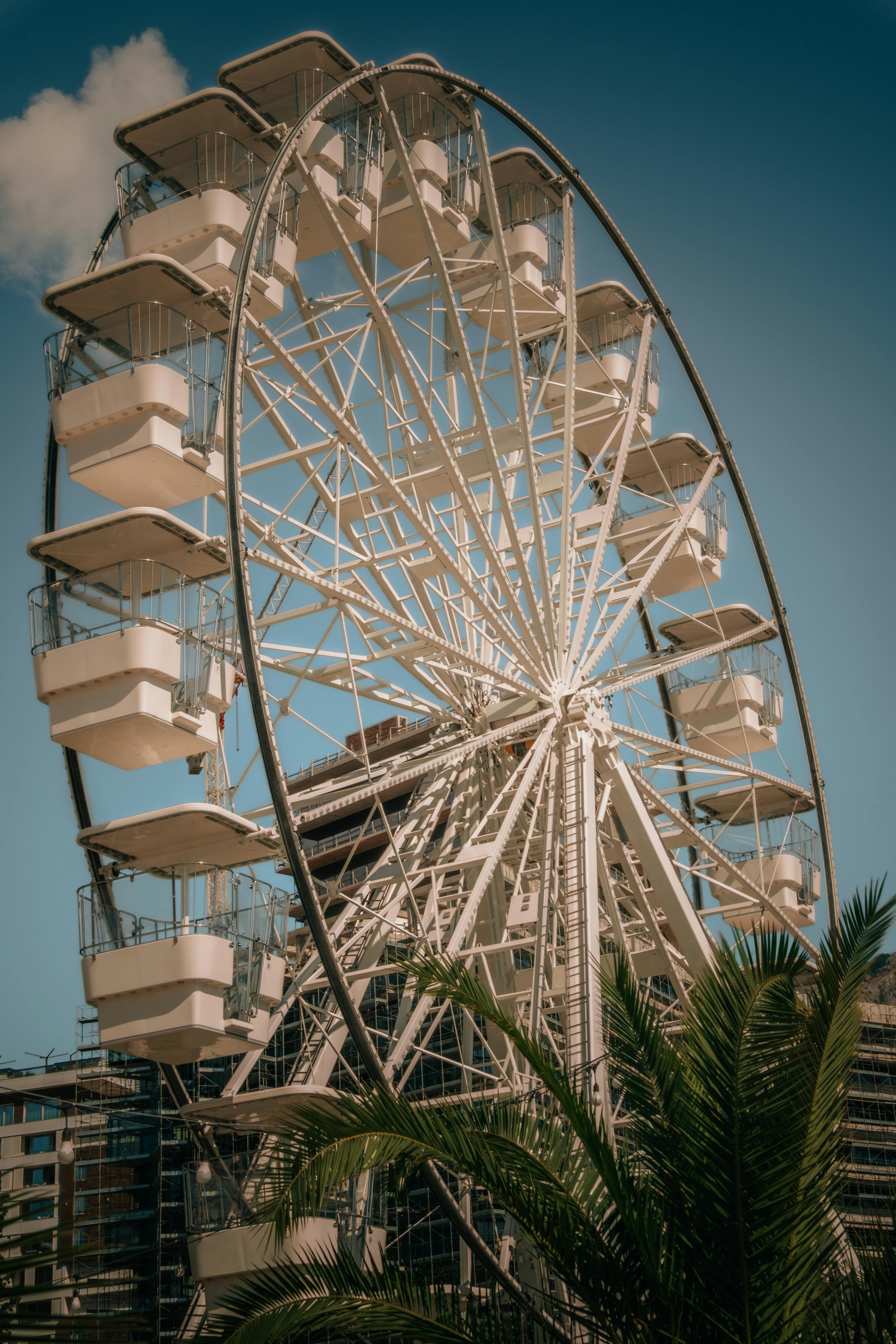 Gyonyoru Madarak Spin Saga Photos, Download The BEST Free Gyonyoru ...