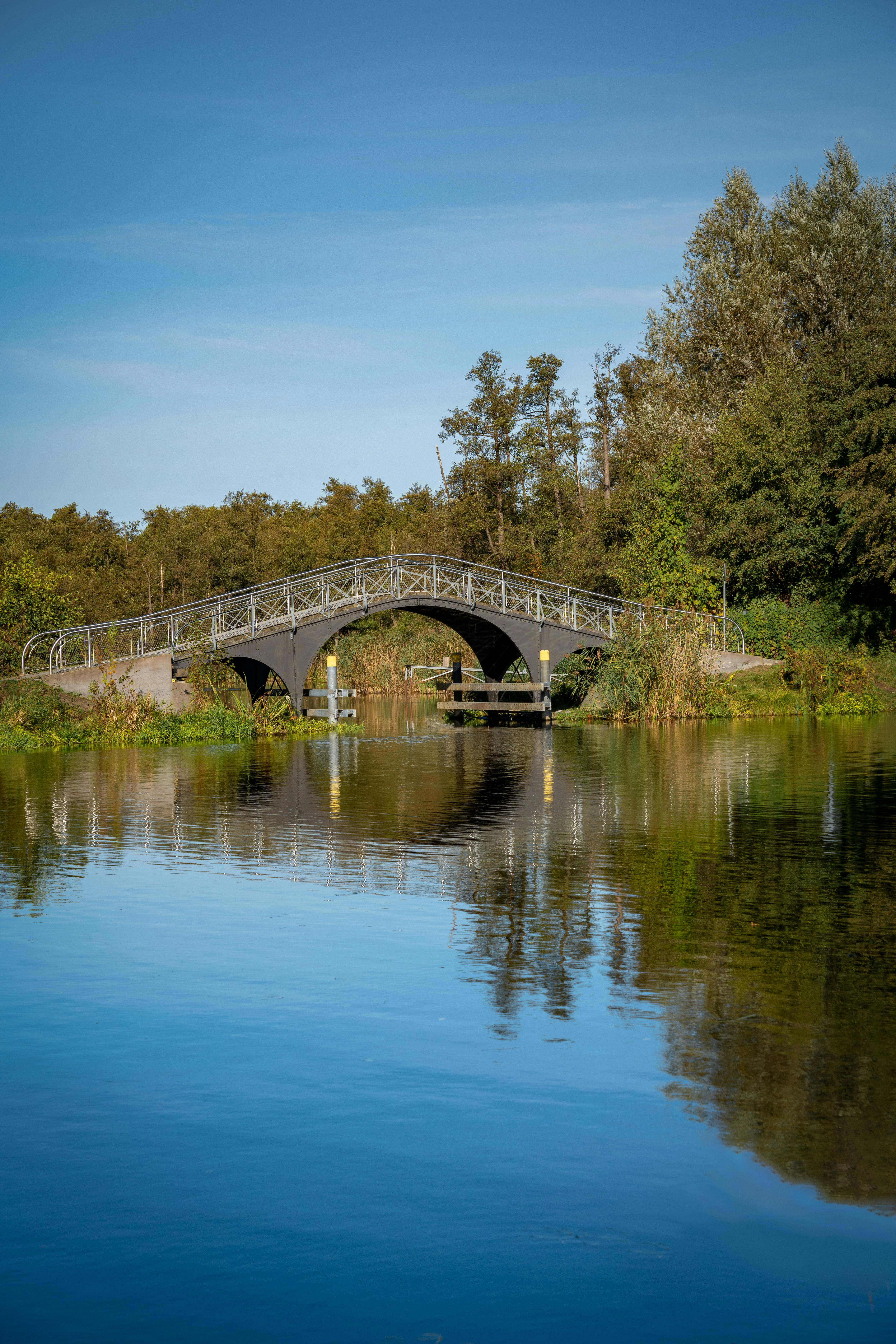 Bridge over a Lake during Day Time · Free Stock Photo