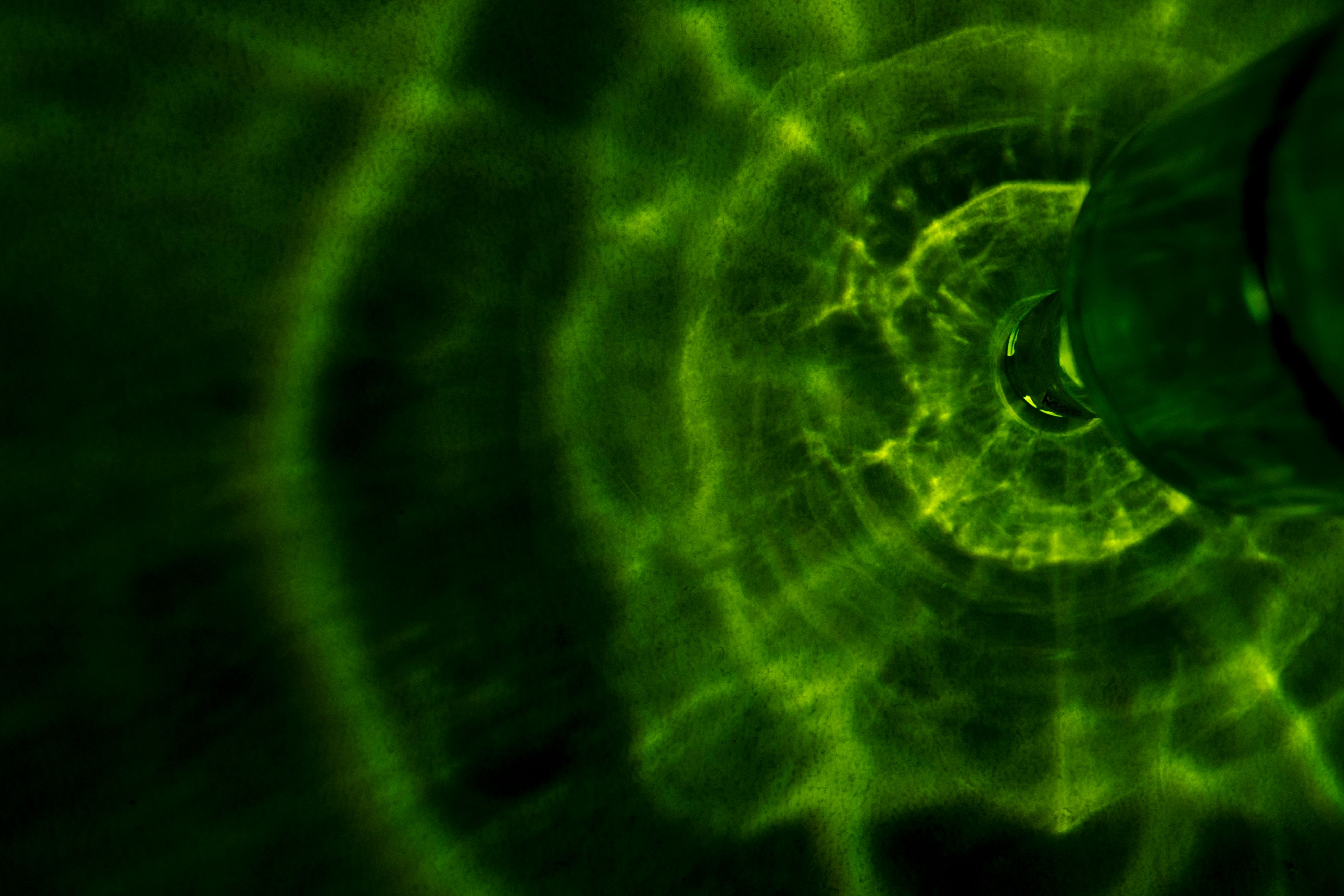 Vibrant Green Abstract Pattern with Light Reflections · Free Stock Photo