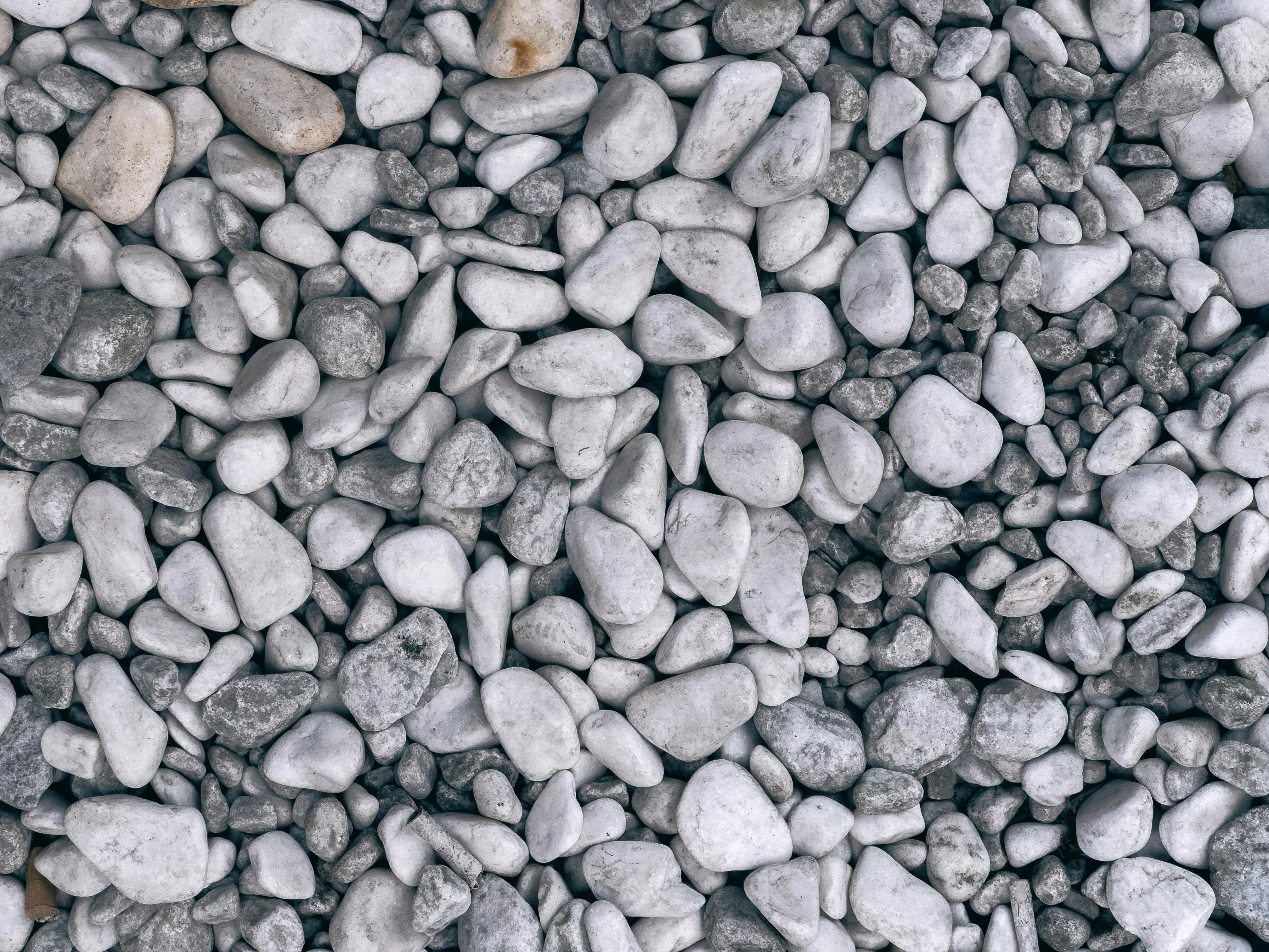 Pile of Smooth Gray Pebbles for Landscaping · Free Stock Photo