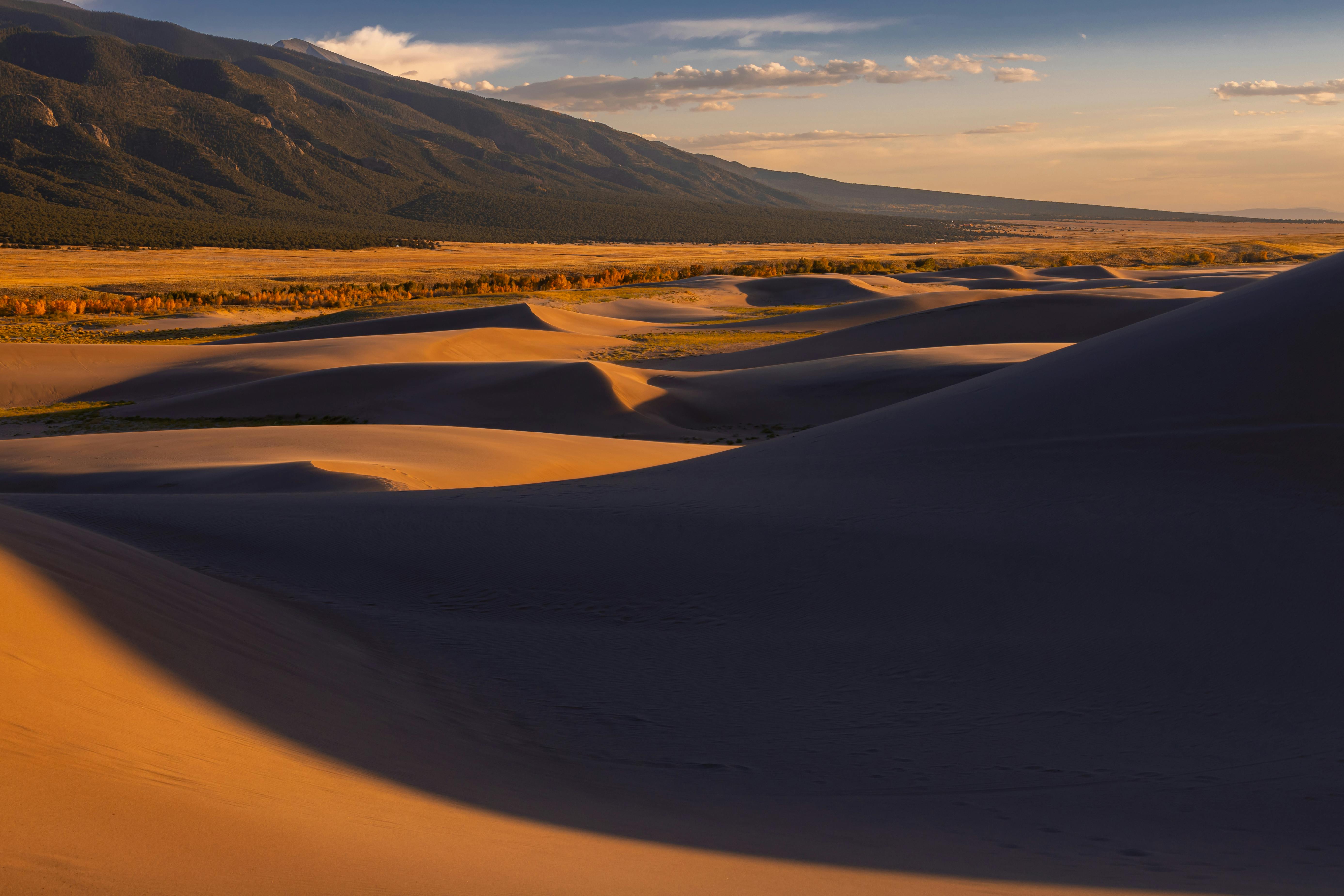 Golden Sand Dunes in Colorado at Sunset · Free Stock Photo