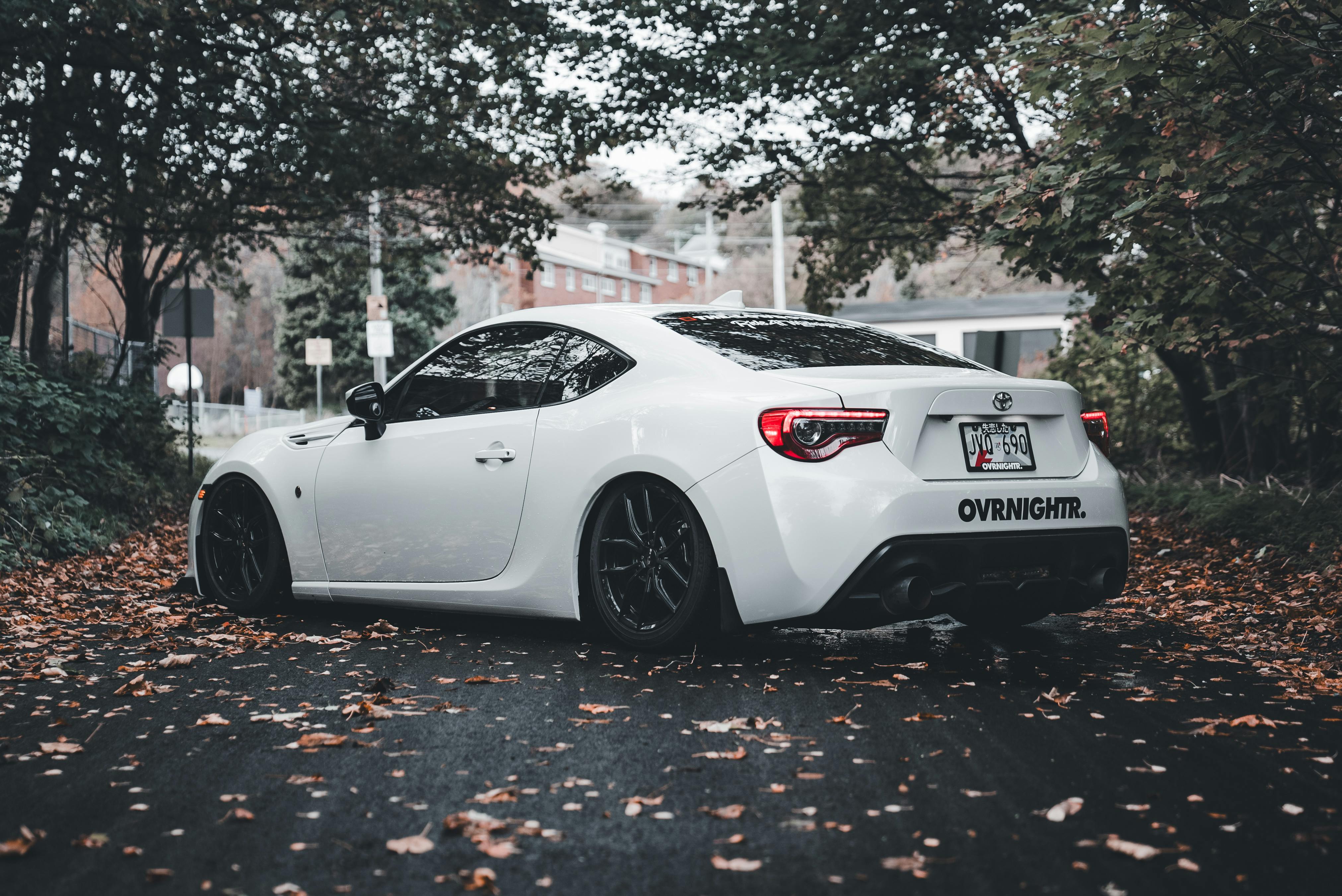 Forest Racing Photos, Download The BEST Free Forest Racing Stock Photos ...