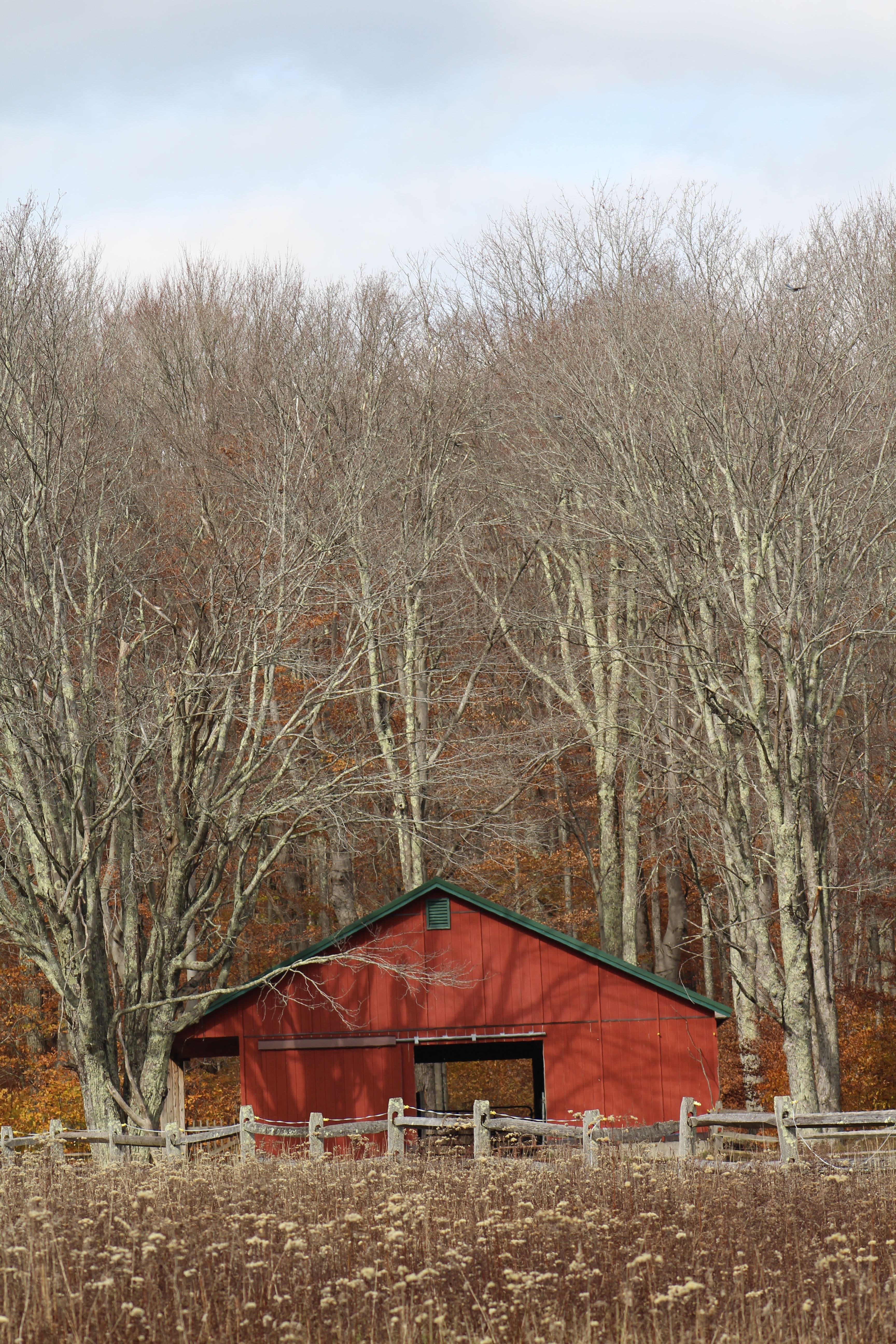 Rustic Red Barn Amidst Autumn Forest · Free Stock Photo