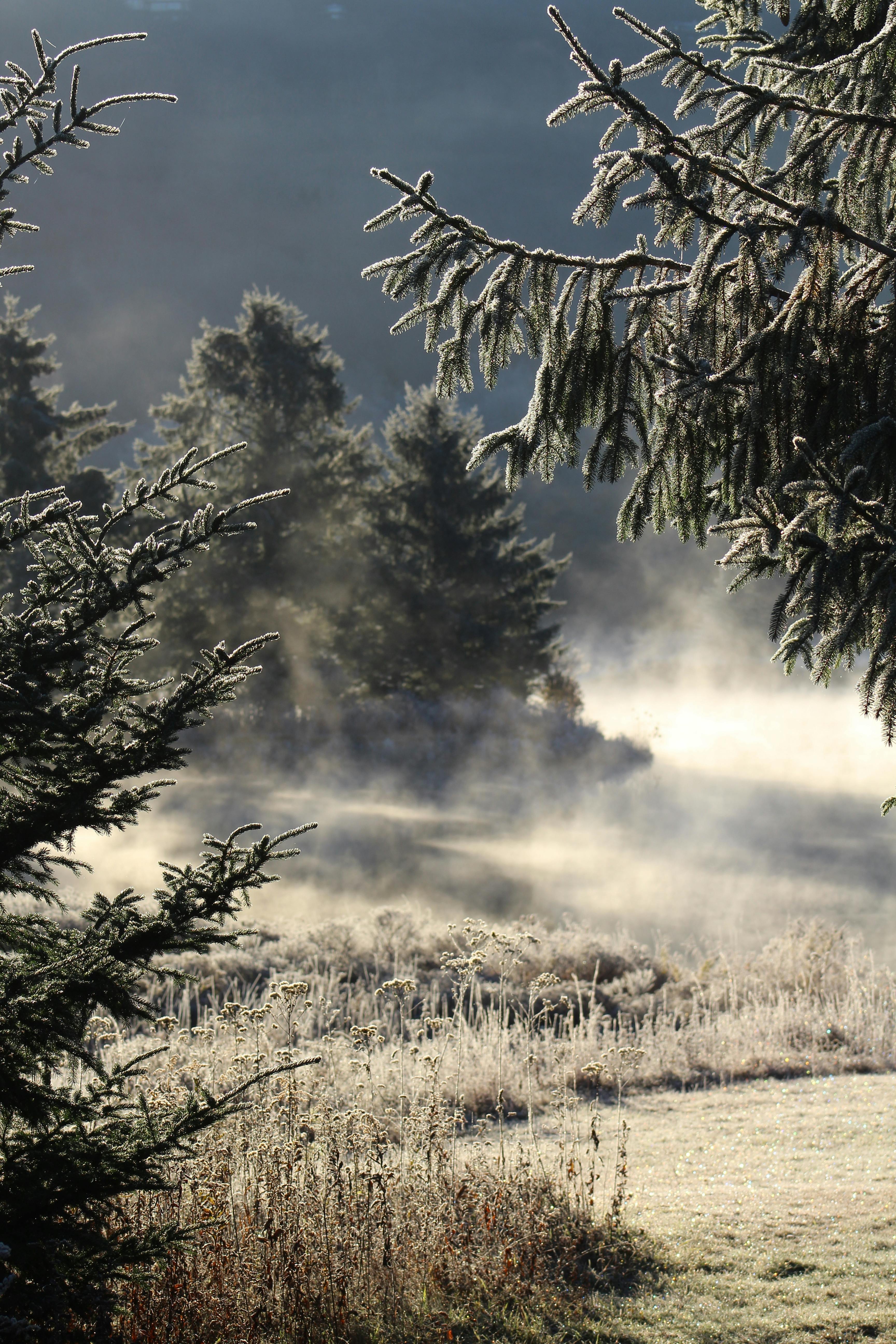 Fysisk Haze Photos, Download The BEST Free Fysisk Haze Stock Photos ...