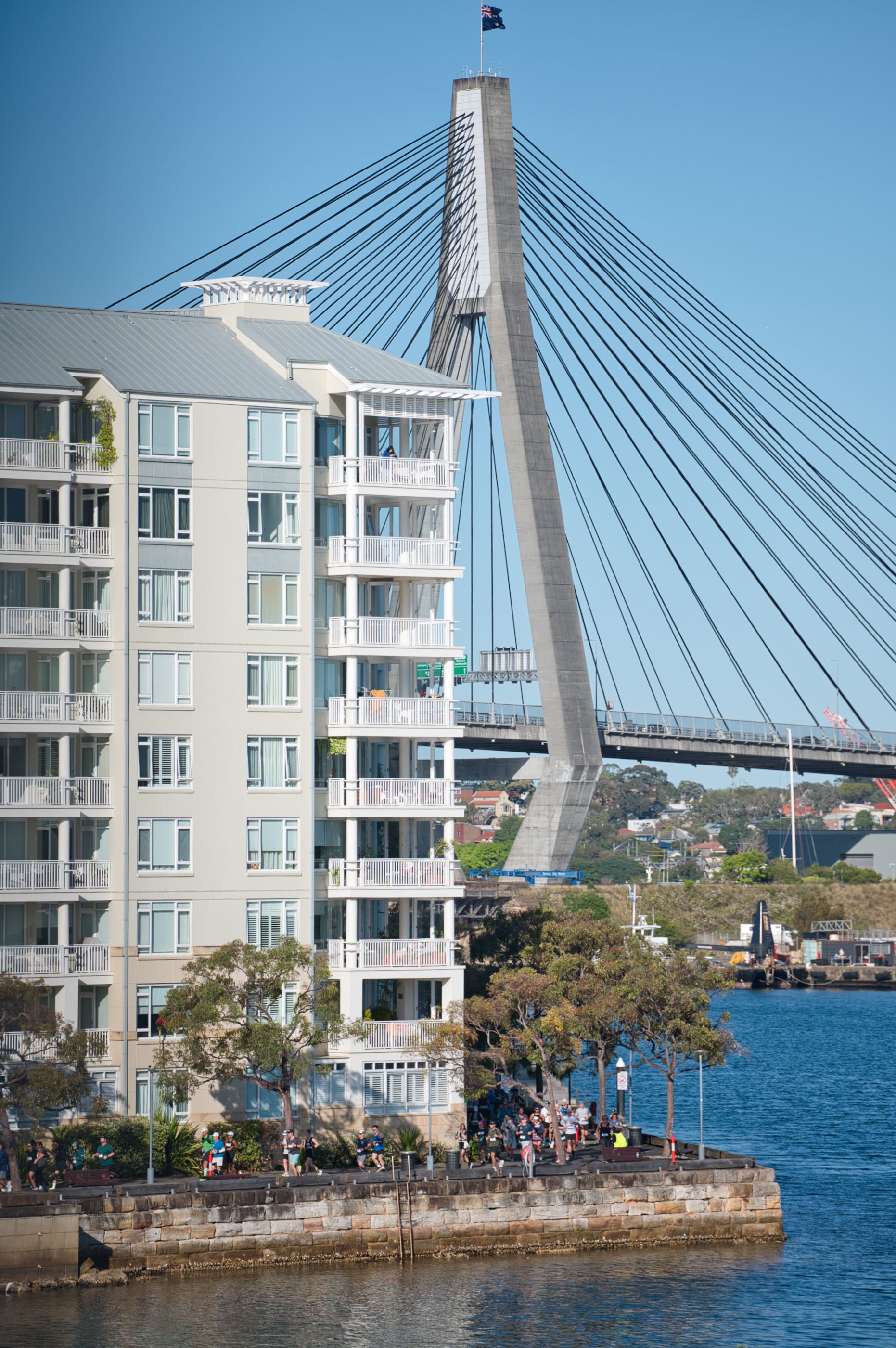 Sydney's Anzac Bridge and Urban Waterfront View · Free Stock Photo
