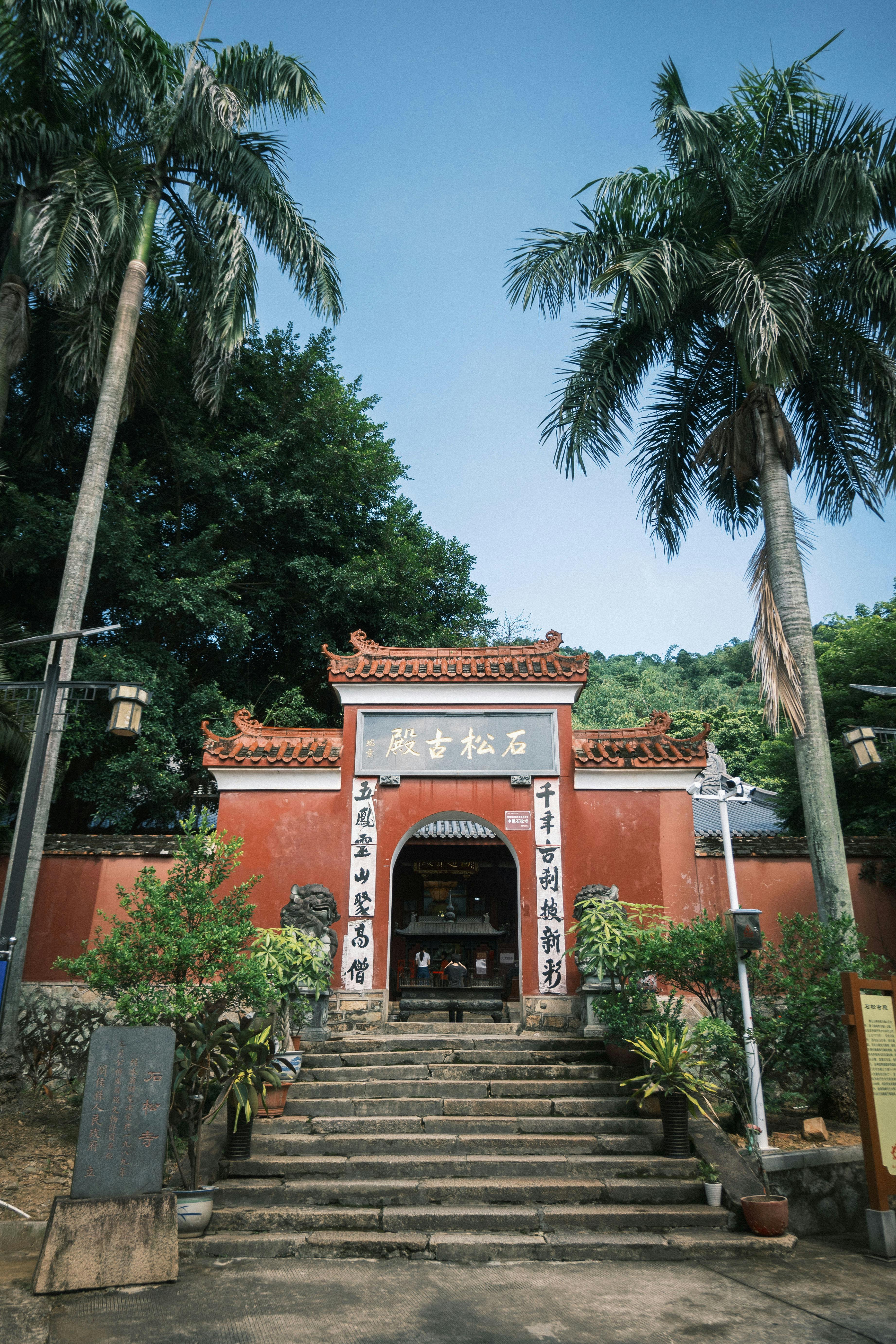 Ancient Chinese Temple Entrance with Palm Trees · Free Stock Photo