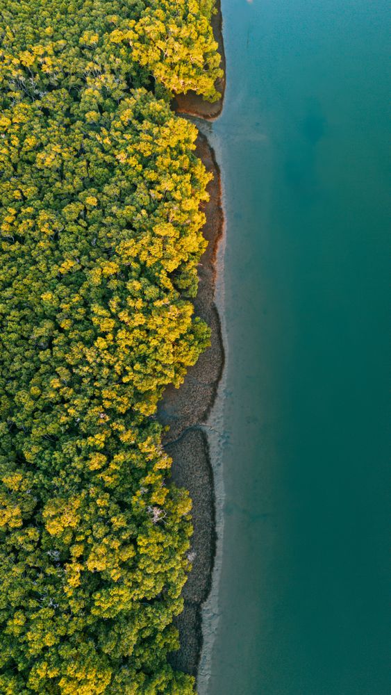 Environment Wallpaper Photos, Download The BEST Free Environment ...